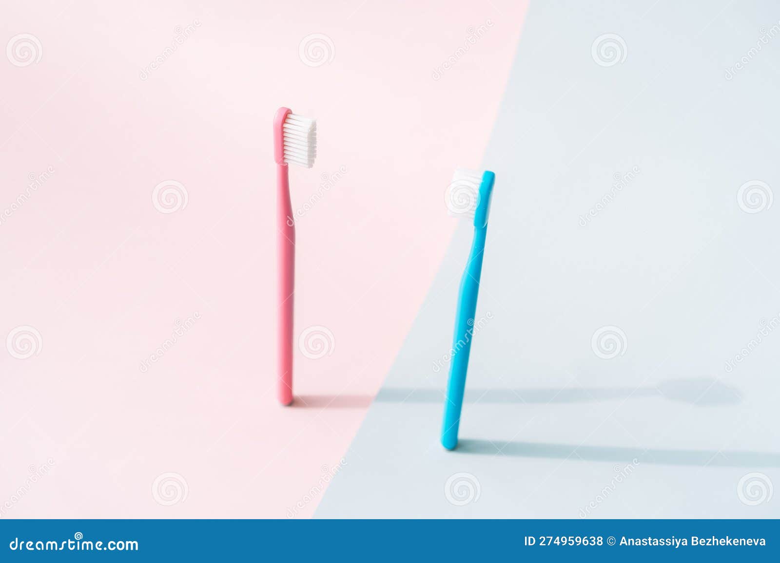 Toothbrushes on the Background of Gender Colors Stock Photo - Image of ...
