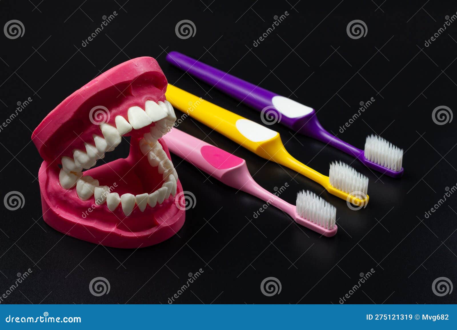 Toothbrushes and Layout of the Human Jaw on the Black Background Stock ...