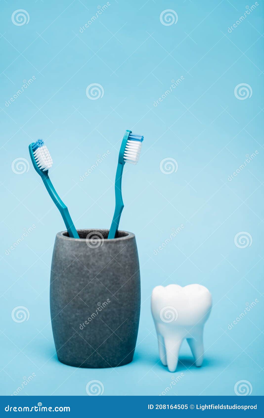 Toothbrushes and Tooth Model on Blue Background. Stock Image - Image of ...