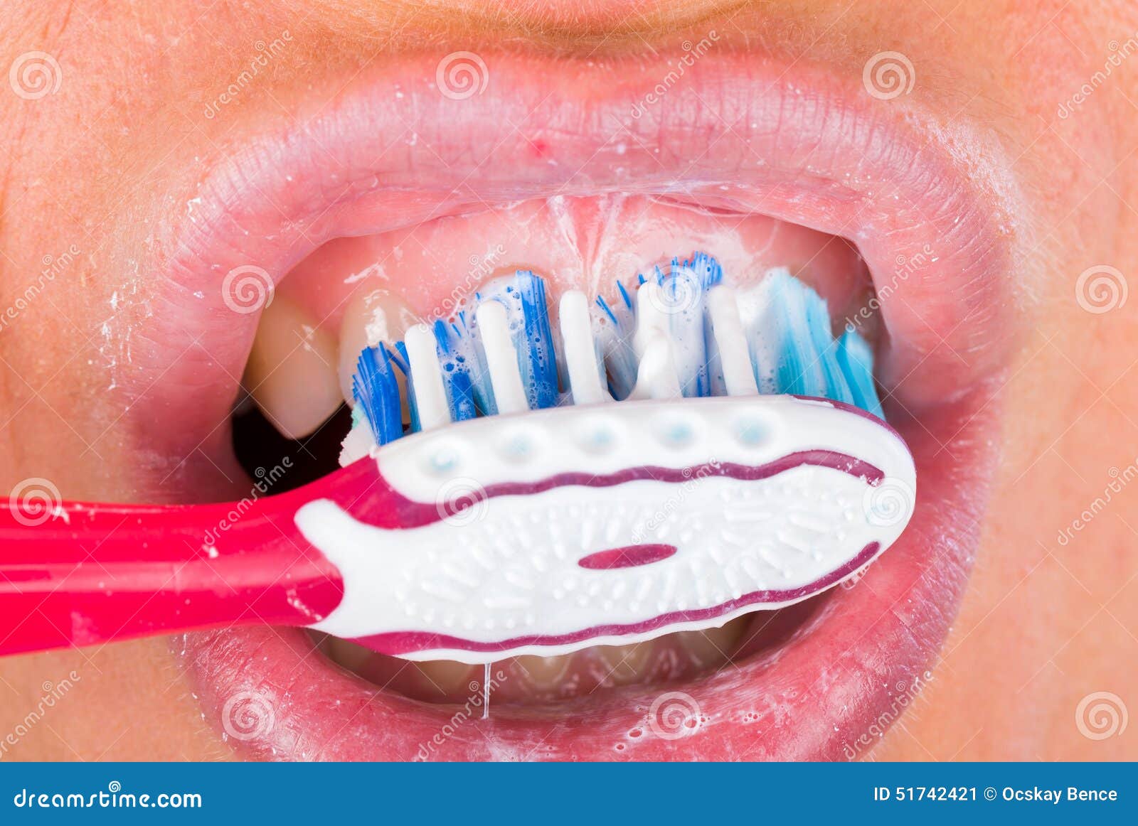 Toothbrushing stock image. Image of bleaching, healthy - 51742421