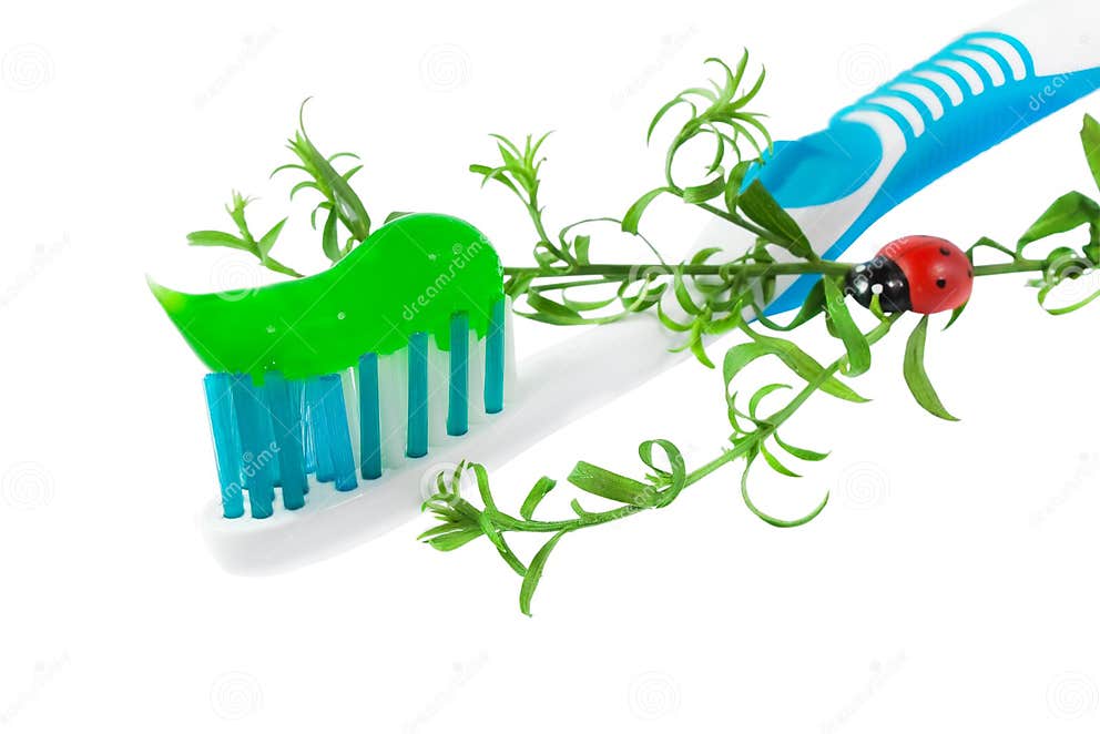 ToothPaste on the Light Blue Dental Brush Isolated Stock Photo - Image ...