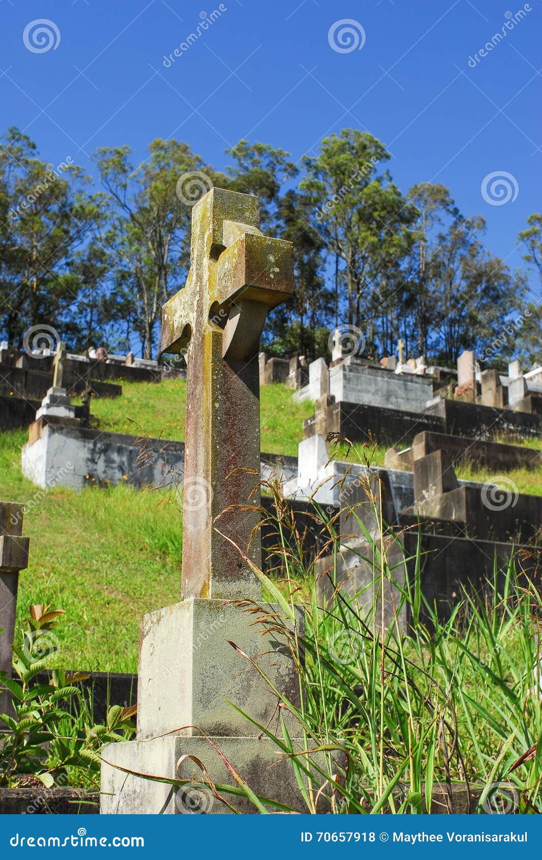 Toowong Cemetery stock photo. Image of burial, ground - 70657918