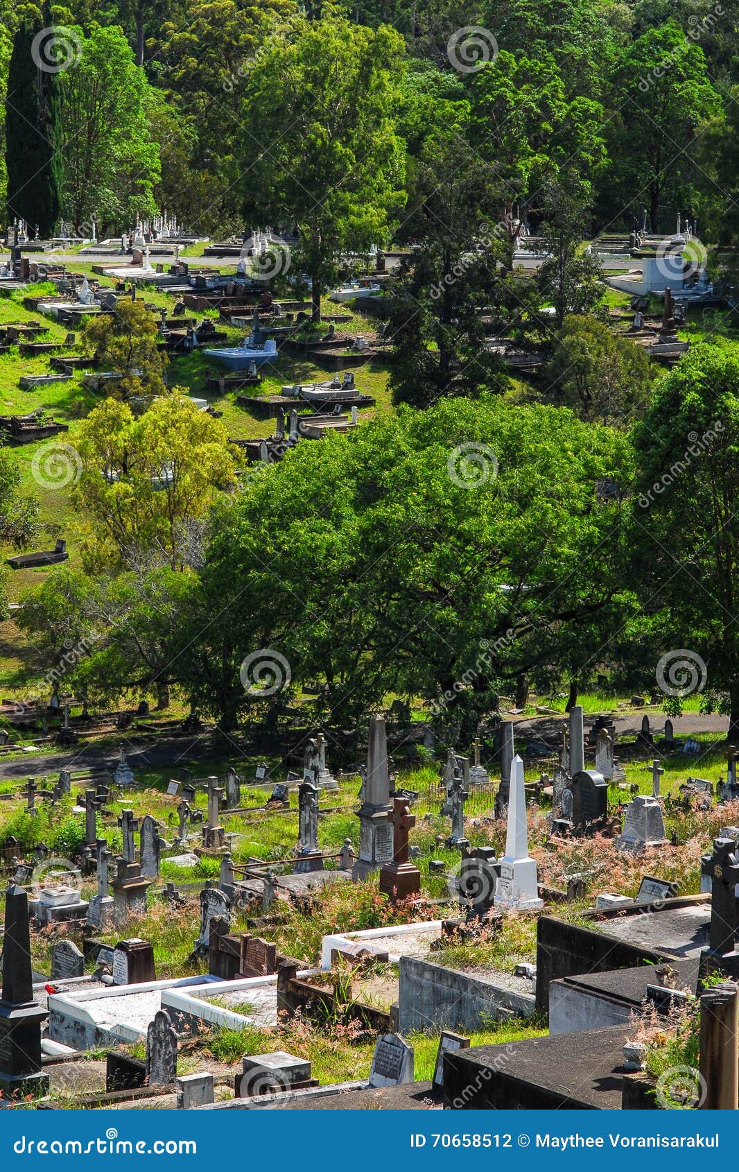 Toowong Cemetery Royalty-Free Stock Image | CartoonDealer.com #70658512