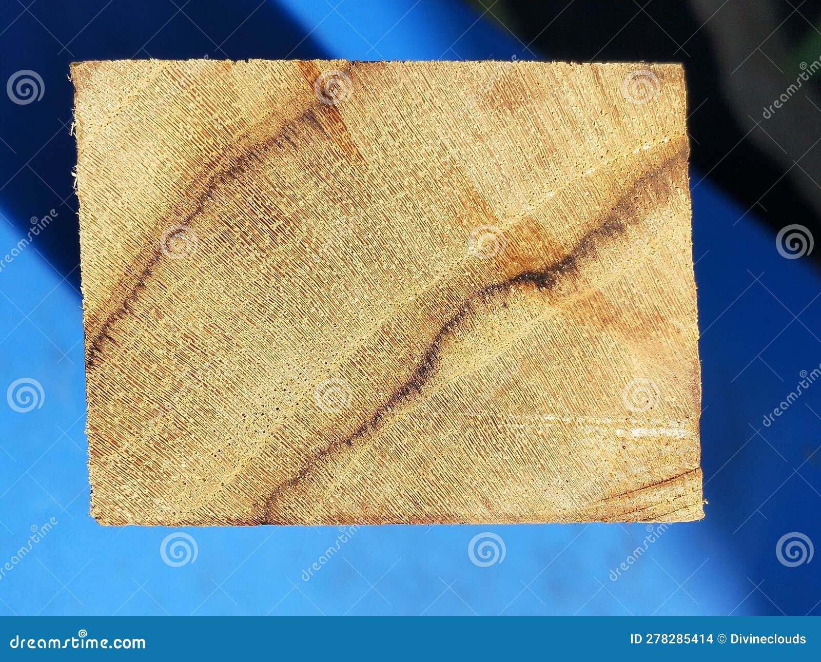 Top Angle View of Perfectly Sliced Teak Wood Stock Photo - Image of ...