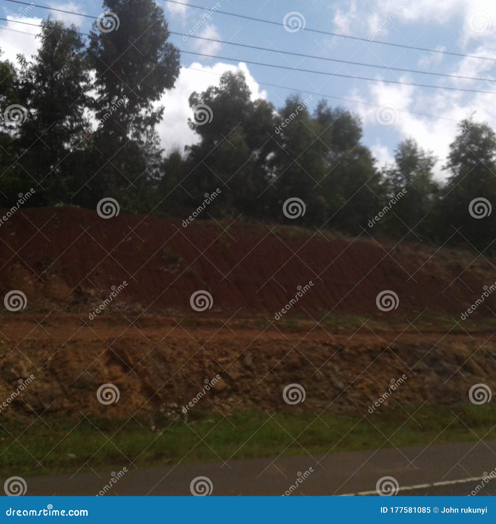 Top best cool environment stock image. Image of tree - 177581085