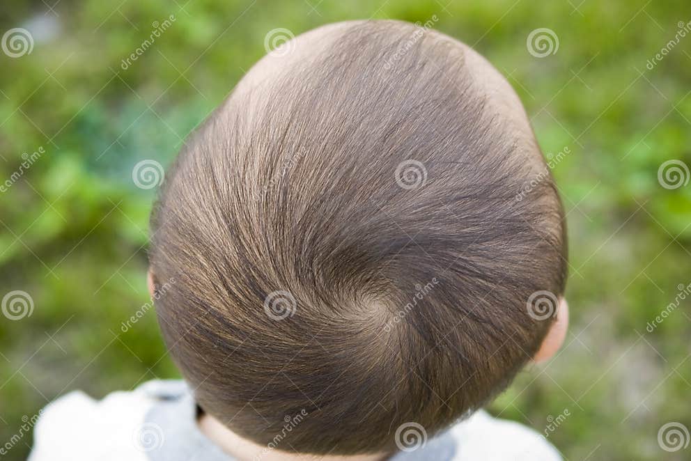 Top of child s head stock photo. Image of shallow, chinese - 9669444