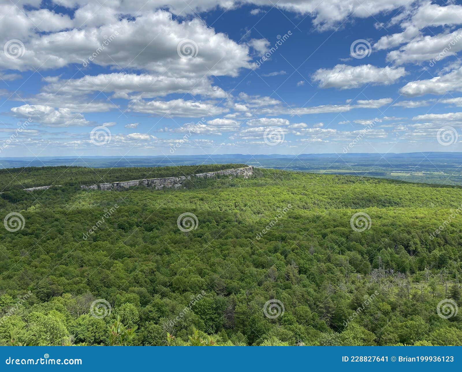 Cliff View Overlooking Forest Stock Image - Image of overlooking ...