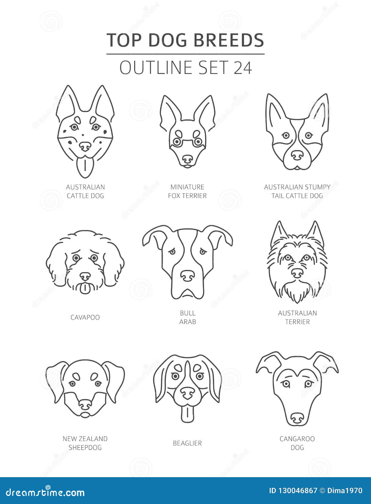 Top Dog Breeds. Pet Outline Collection Stock Vector - Illustration of ...