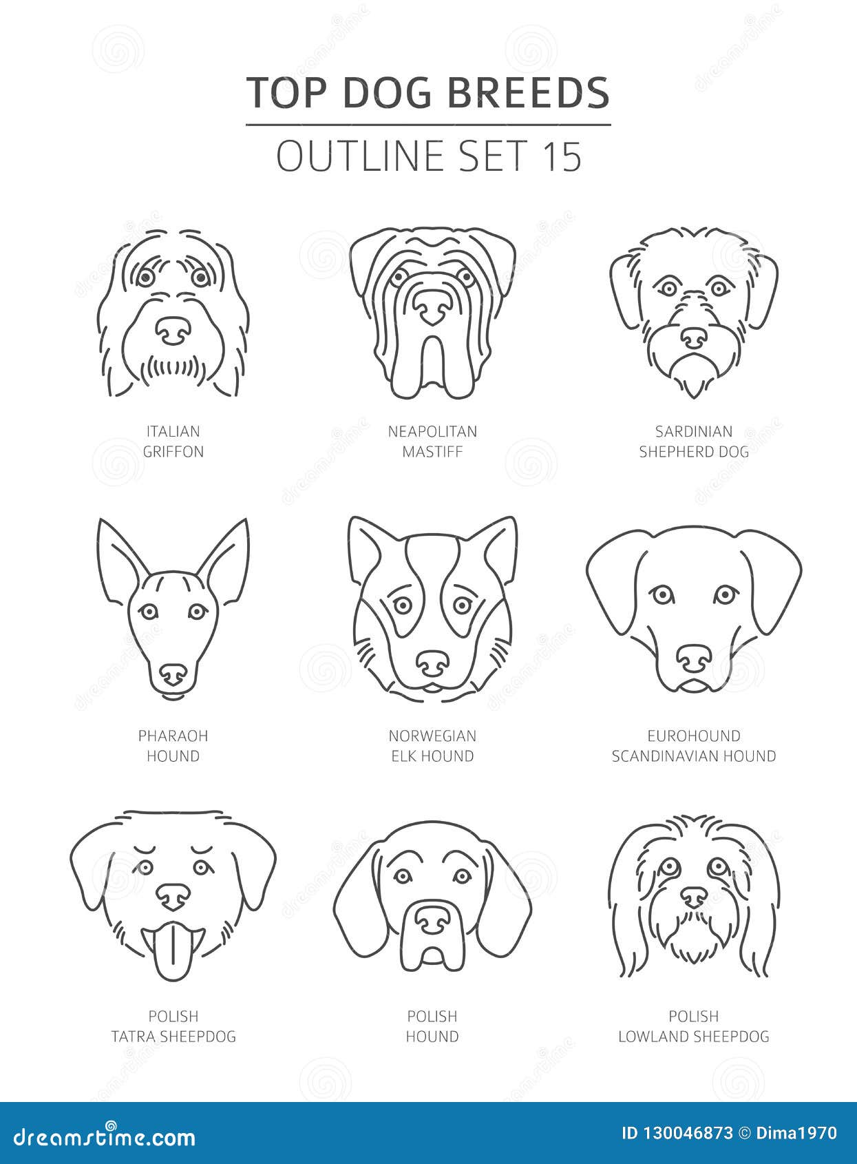 Top Dog Breeds. Pet Outline Collection Stock Vector - Illustration of ...