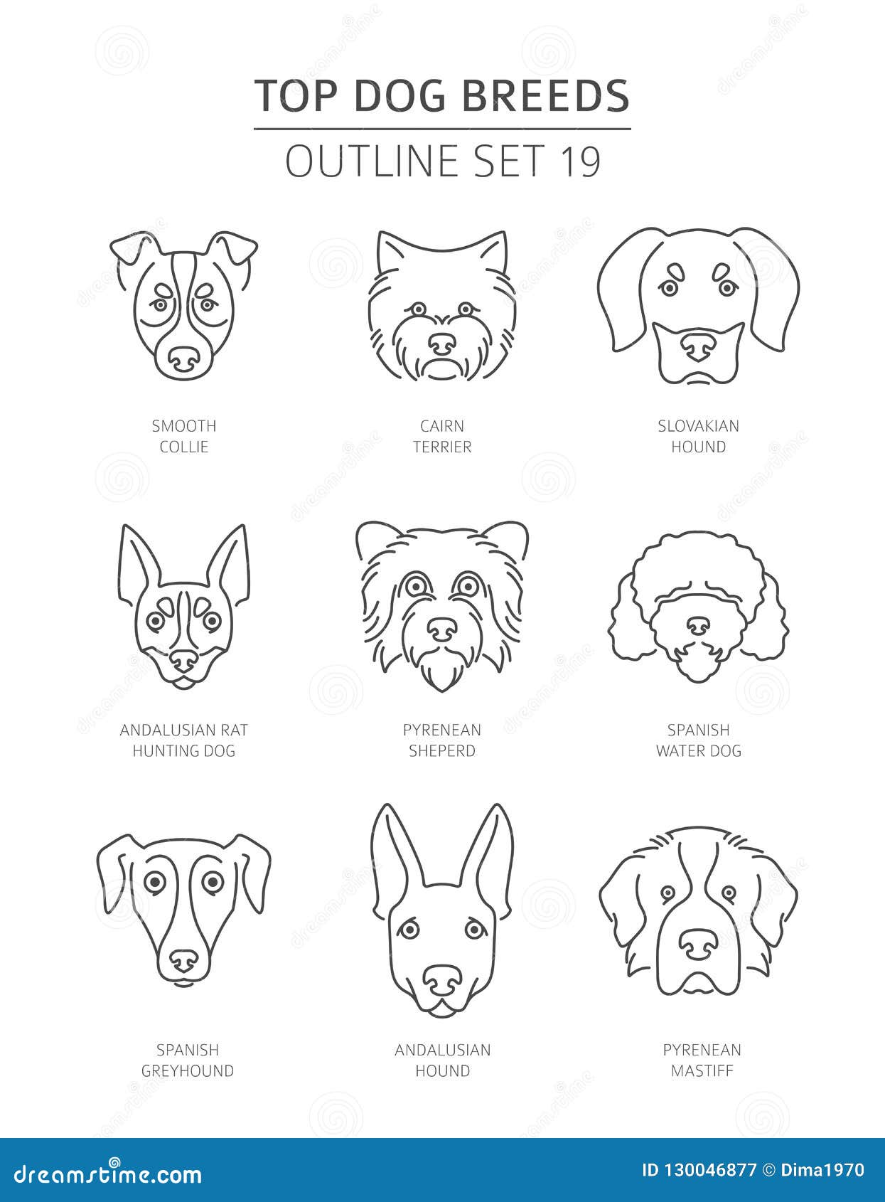 Top Dog Breeds. Pet Outline Collection Stock Vector - Illustration of ...