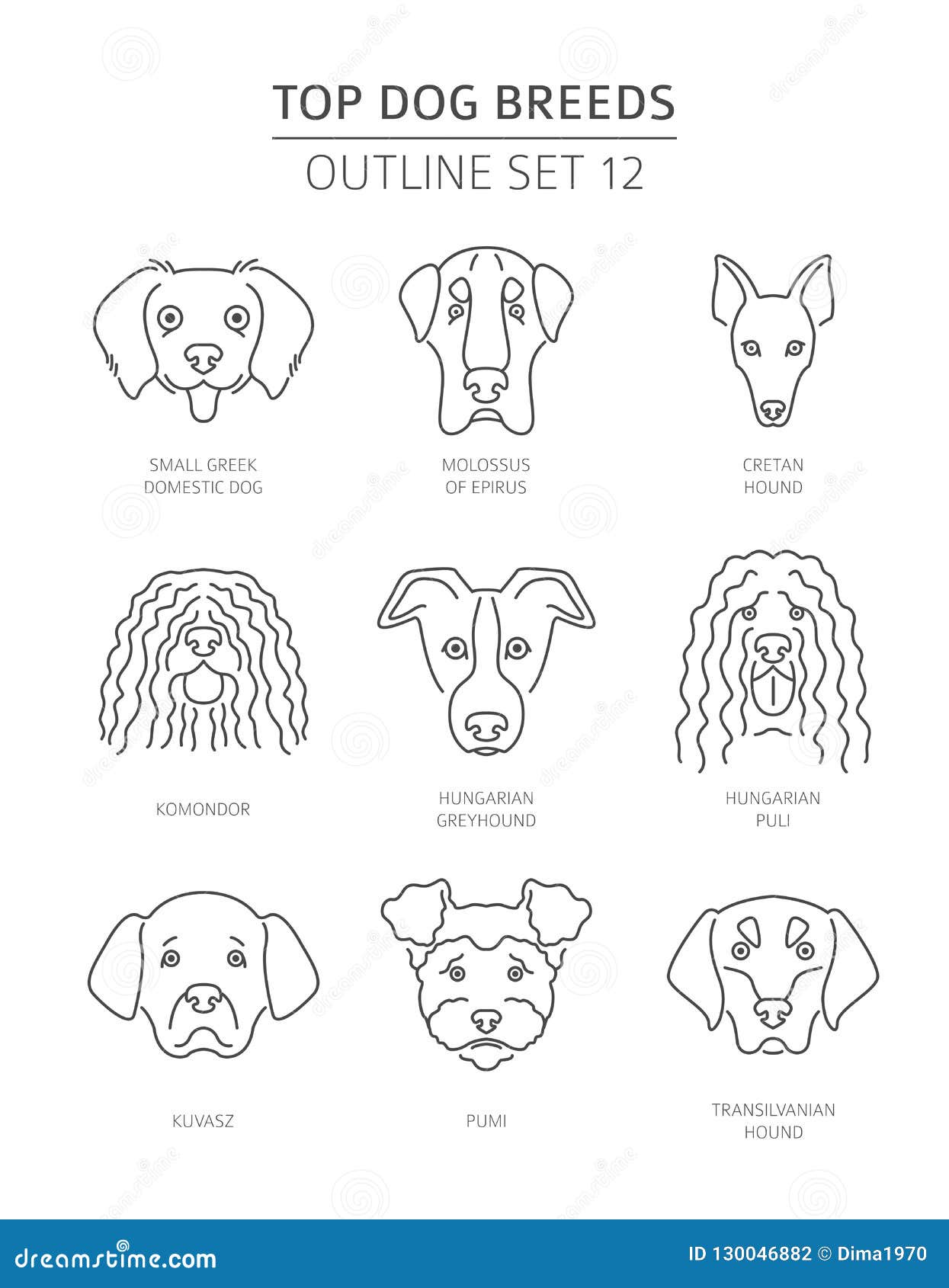 Top Dog Breeds. Pet Outline Collection Stock Vector - Illustration of ...
