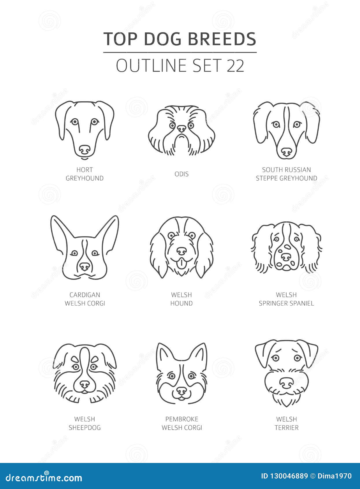 Top Dog Breeds. Pet Outline Collection Stock Vector - Illustration of ...