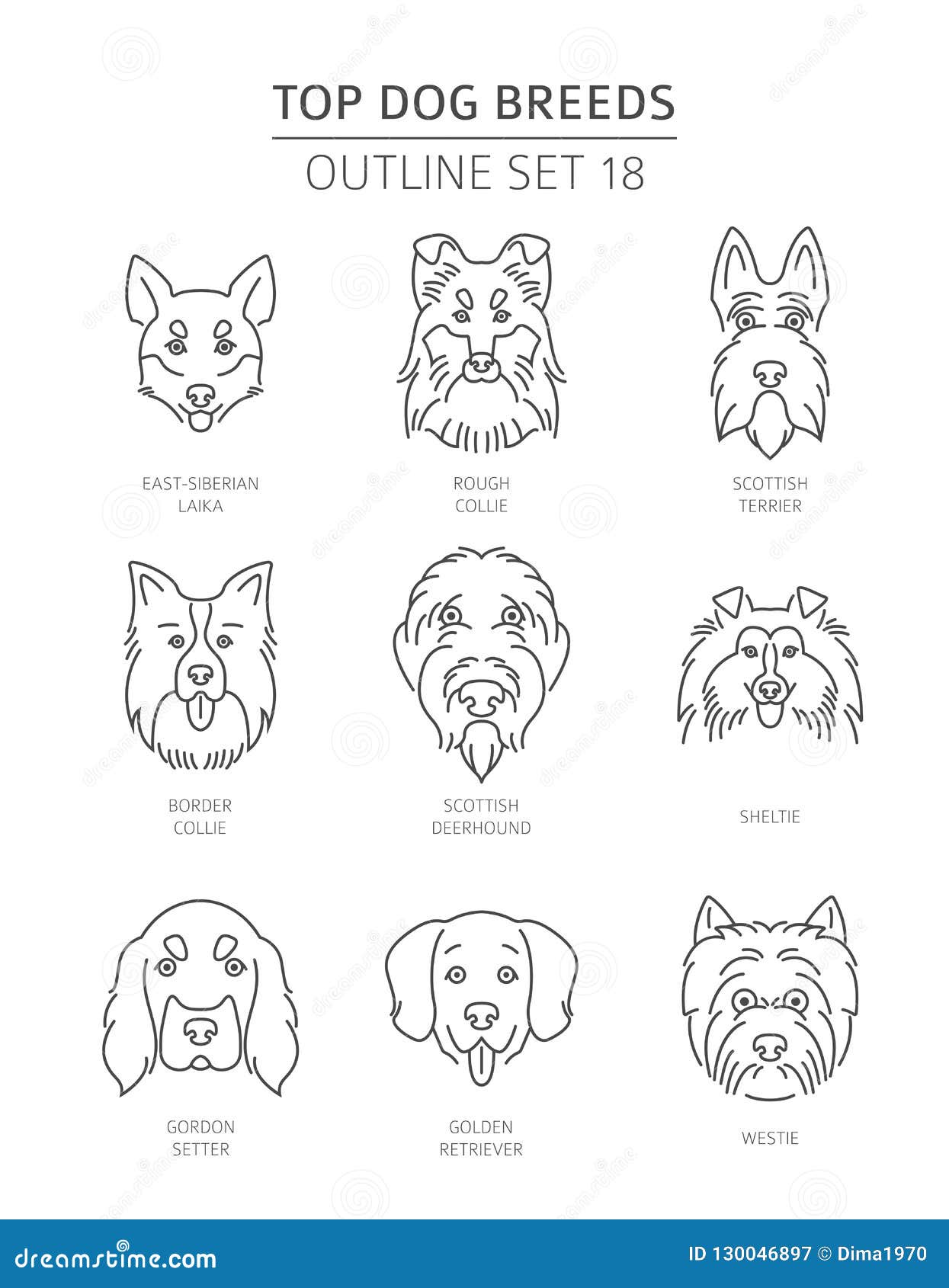 Top Dog Breeds. Pet Outline Collection Stock Vector - Illustration of ...