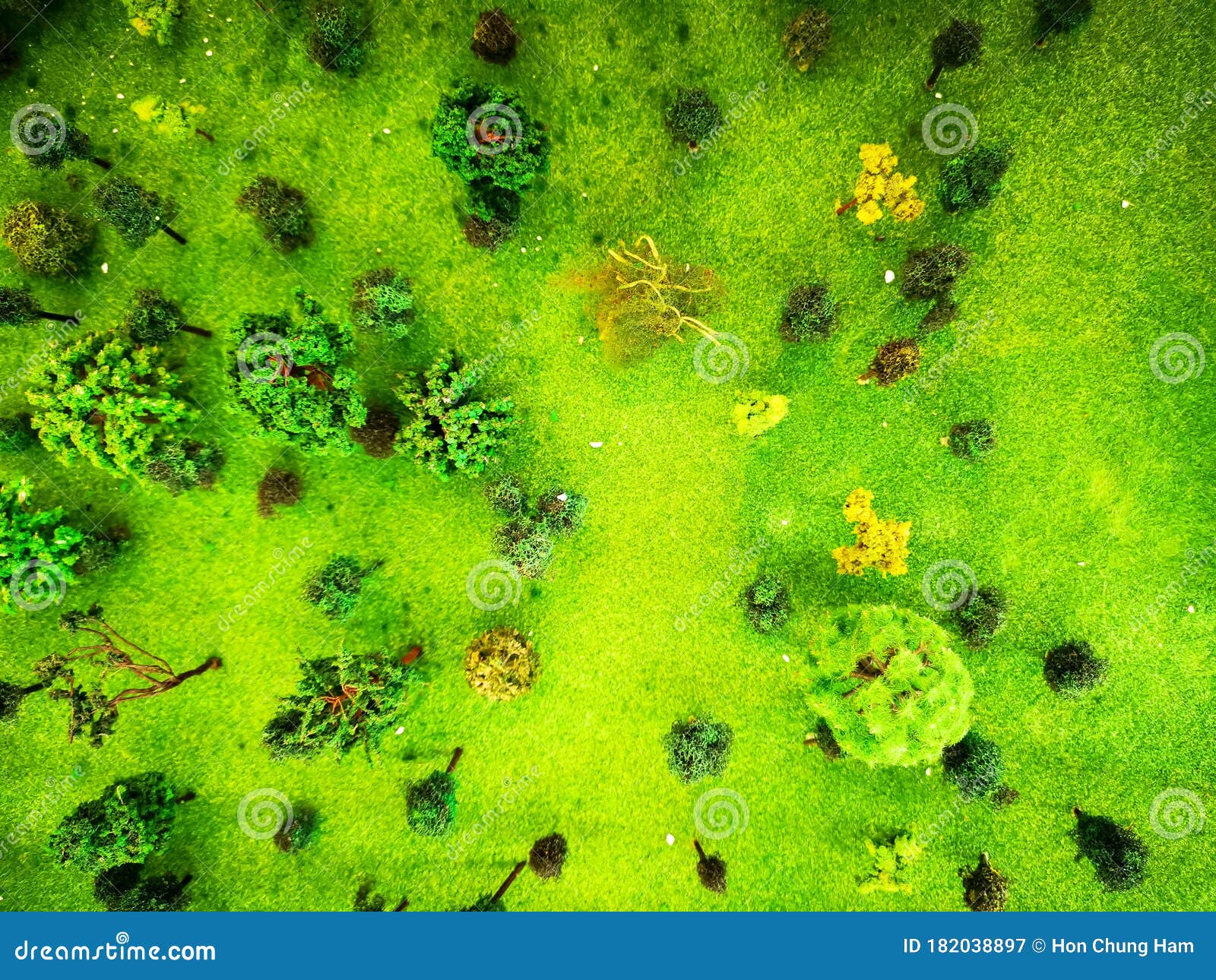 Top Down from Above View of Miniature Forest and Landscaping of Scale ...
