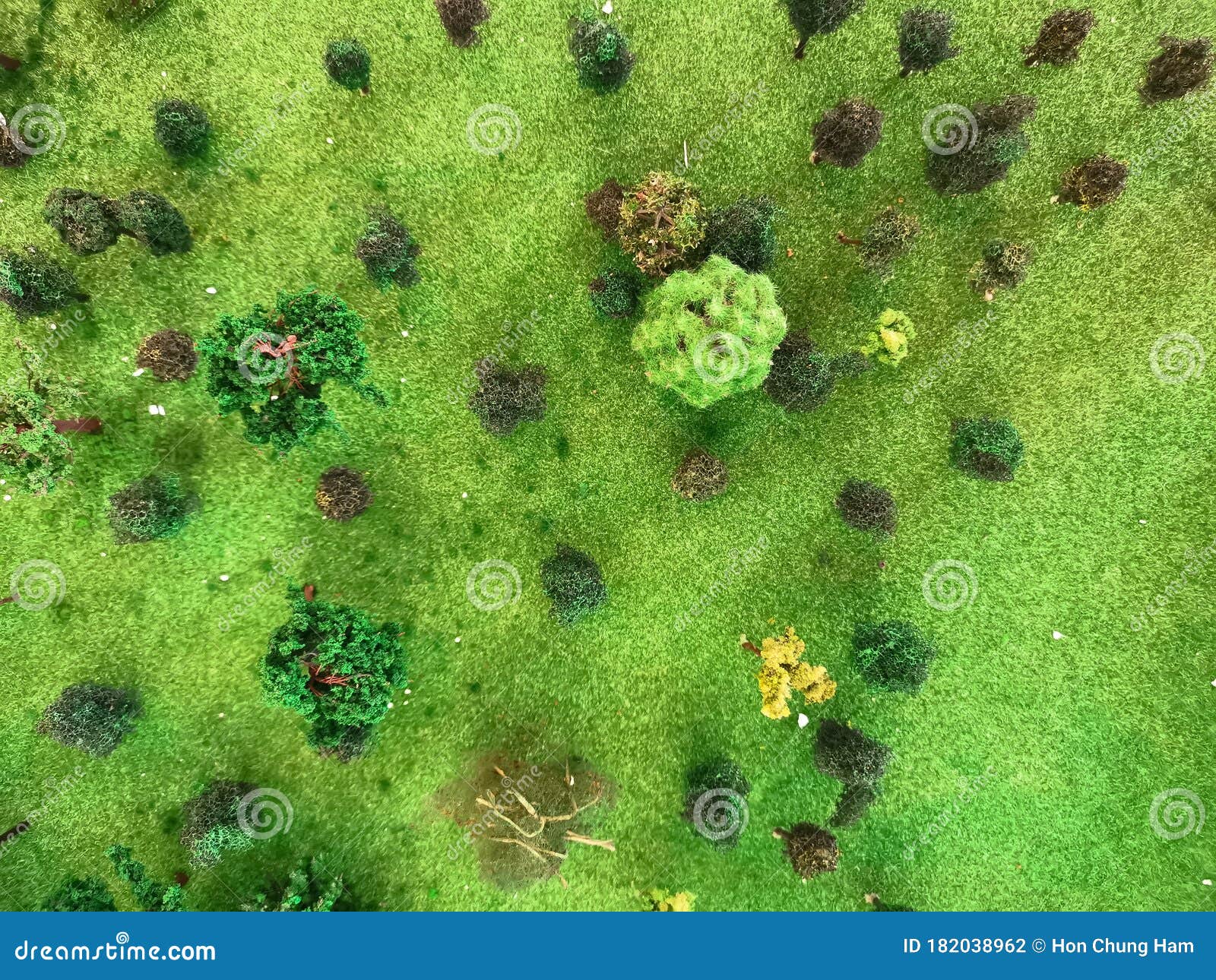 Miniature Forest Royalty-Free Stock Photography | CartoonDealer.com ...