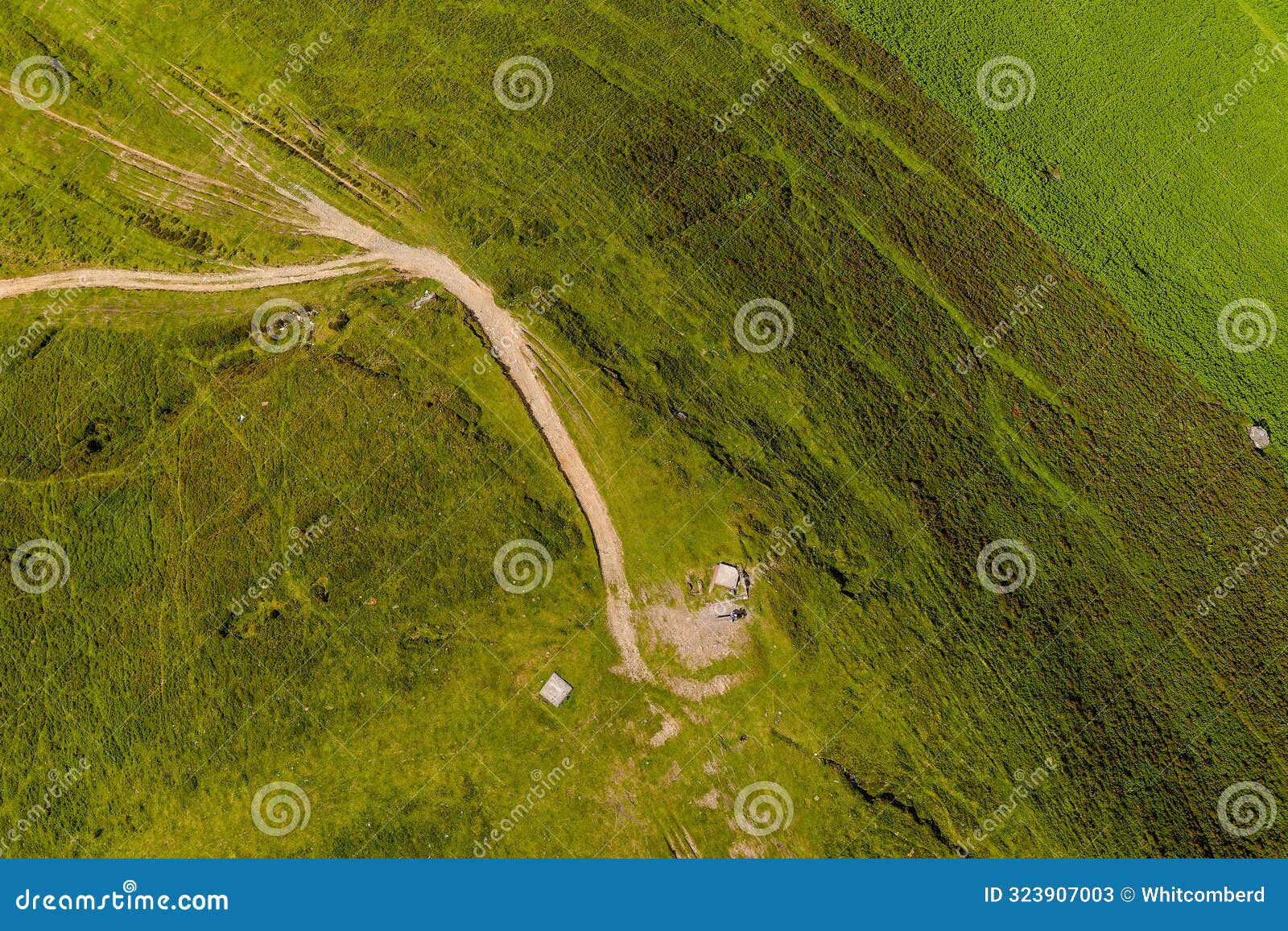 Top Down Aerial View of Heather, Bracken and Grass on a Welsh Hillside ...
