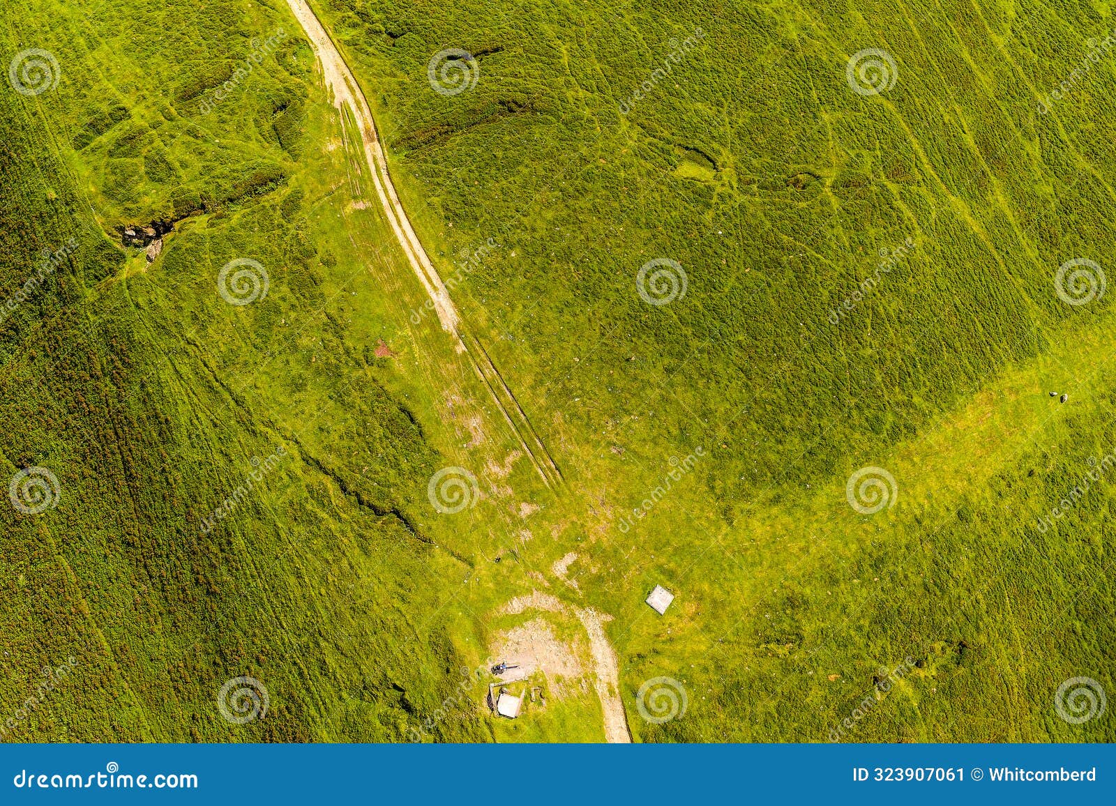 Top Down Aerial View of Heather, Bracken and Grass on a Welsh Hillside ...