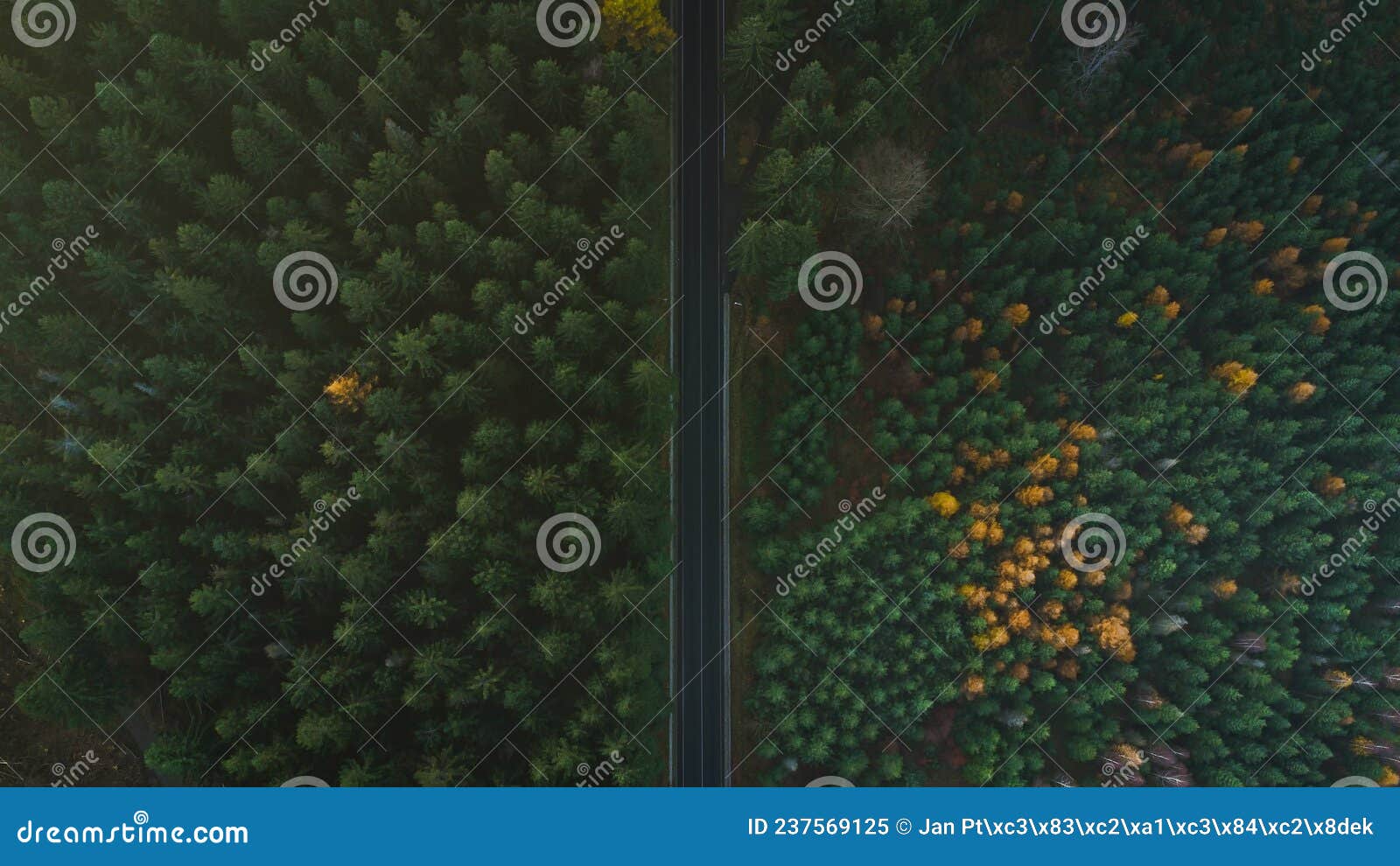 Top Down Forest. Straight Road Surrounded by Forest Stock Image - Image ...