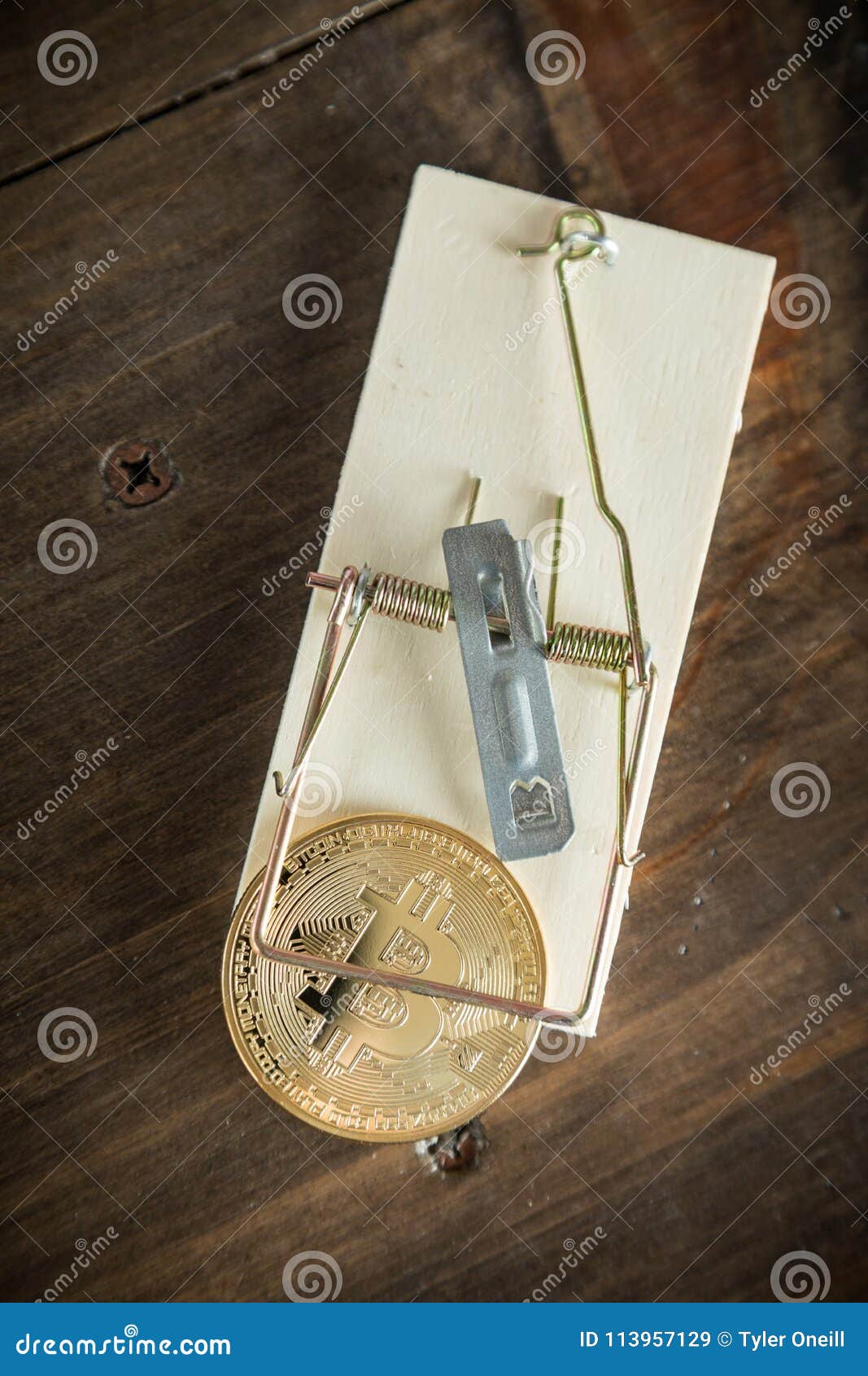 Top Down Gold Bitcoin Cryptocurrency in Mouse Trap. Financial Tr Stock ...