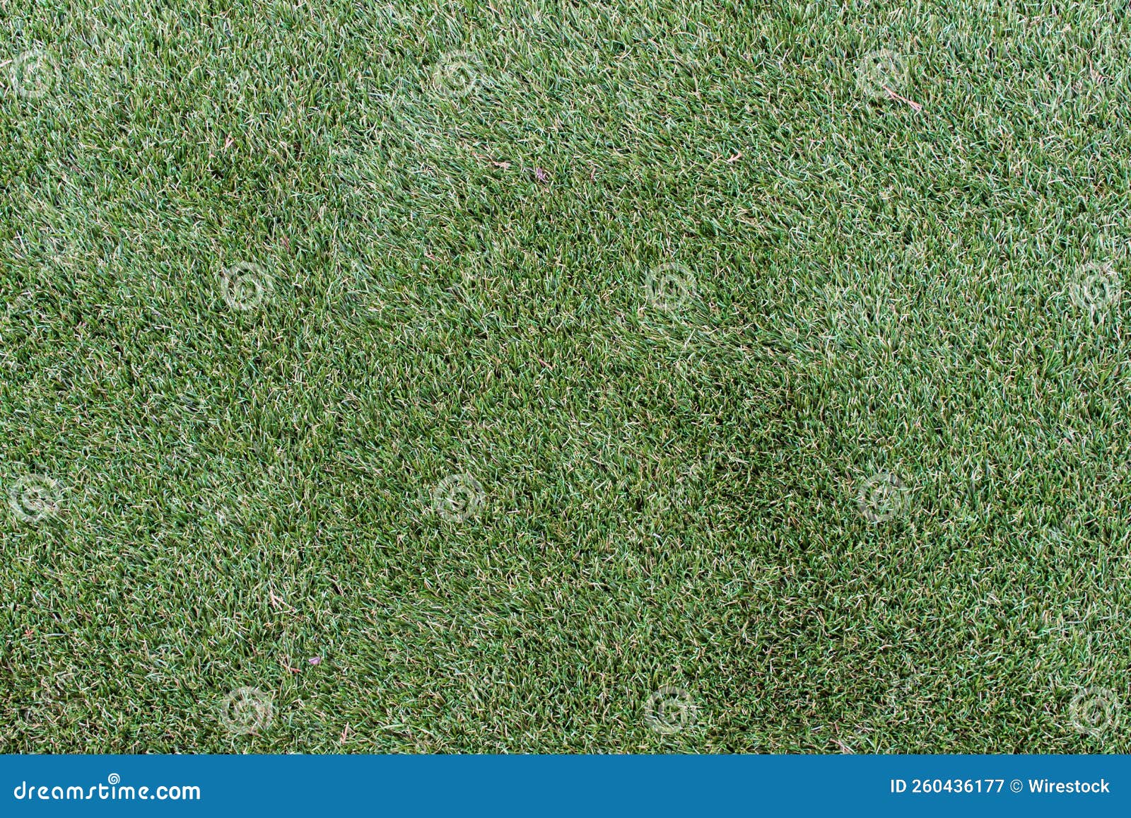 Top Down Green Grass Texture Patch Stock Image - Image of dark, green ...