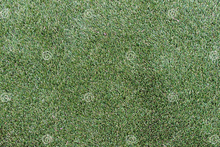 Top Down Green Grass Texture Patch Stock Image - Image of dark, green ...