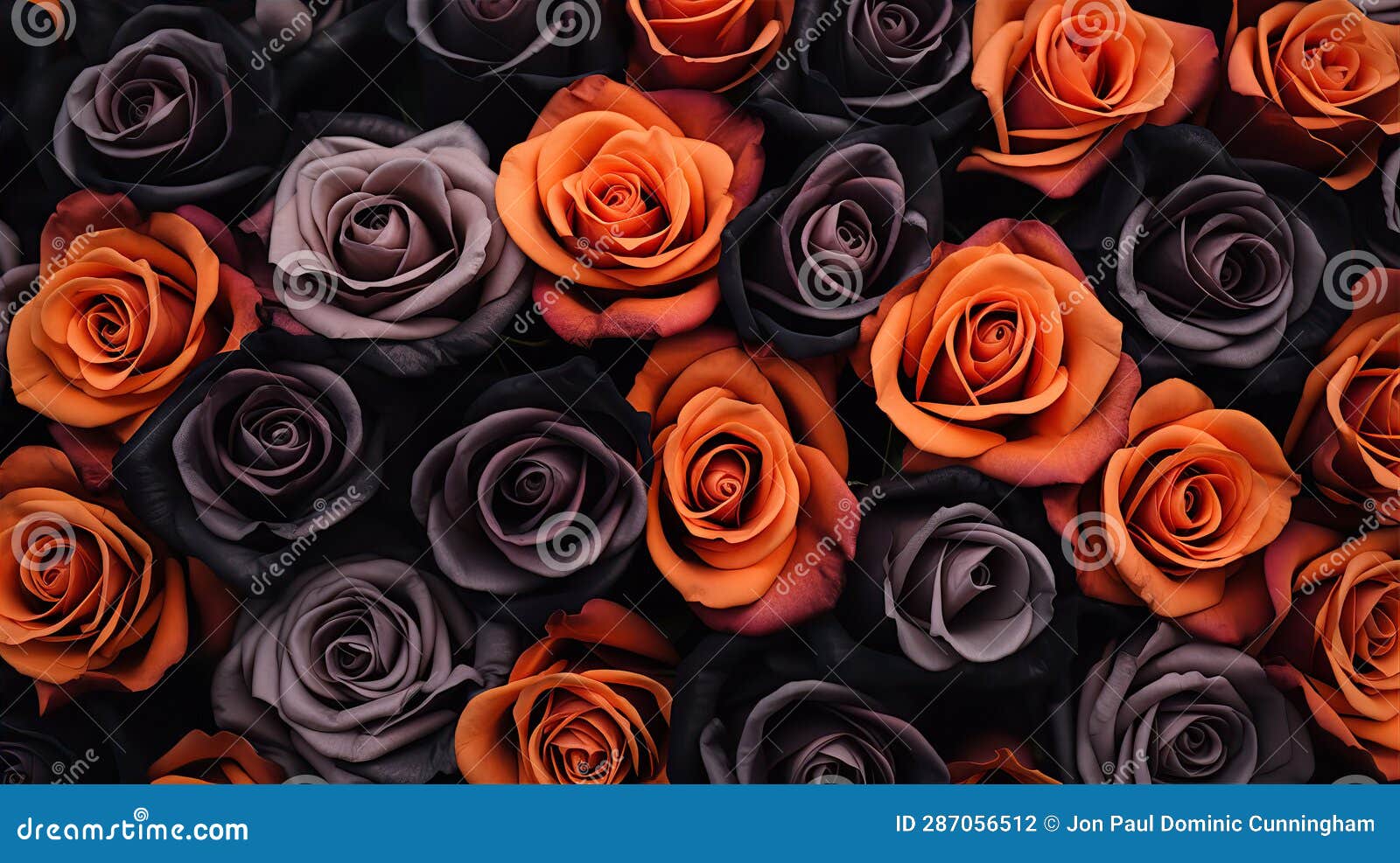 Black Grey Orange Roses Halloween Death Background Texture Illustration ...