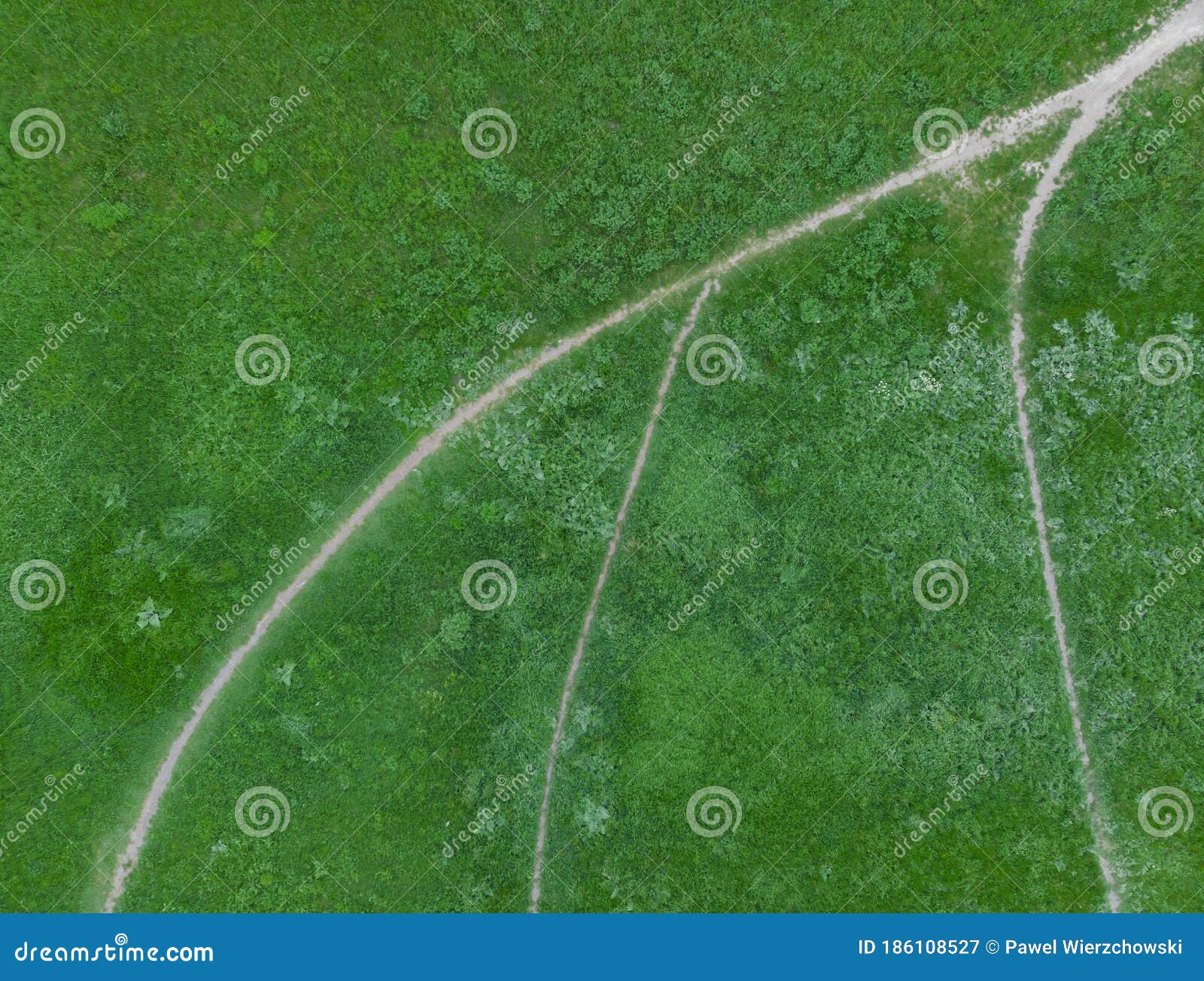 Top Down Look To Connection Of Paths Between Grass And Bushes Royalty ...