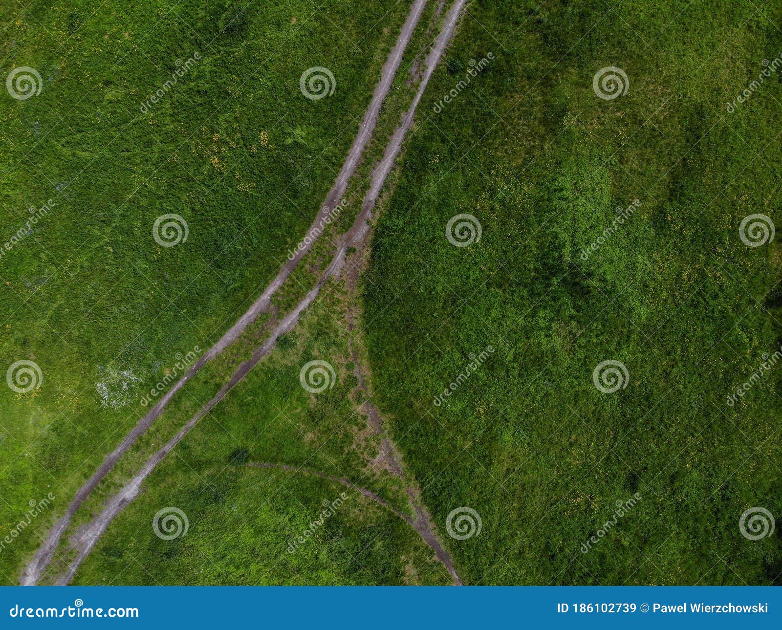 Top Down Look To Connection of Paths between Grass and Bushes Stock ...