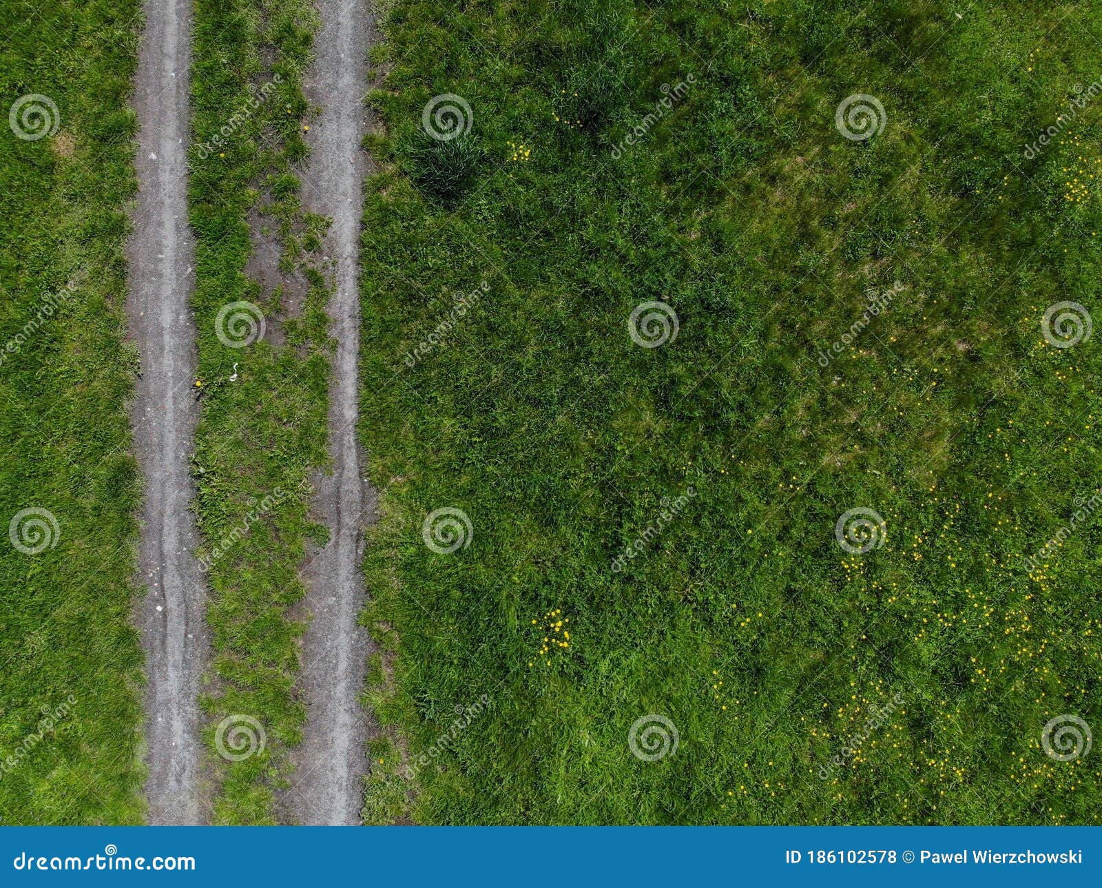 Top Down Look To Connection of Paths between Grass and Bushes Stock ...