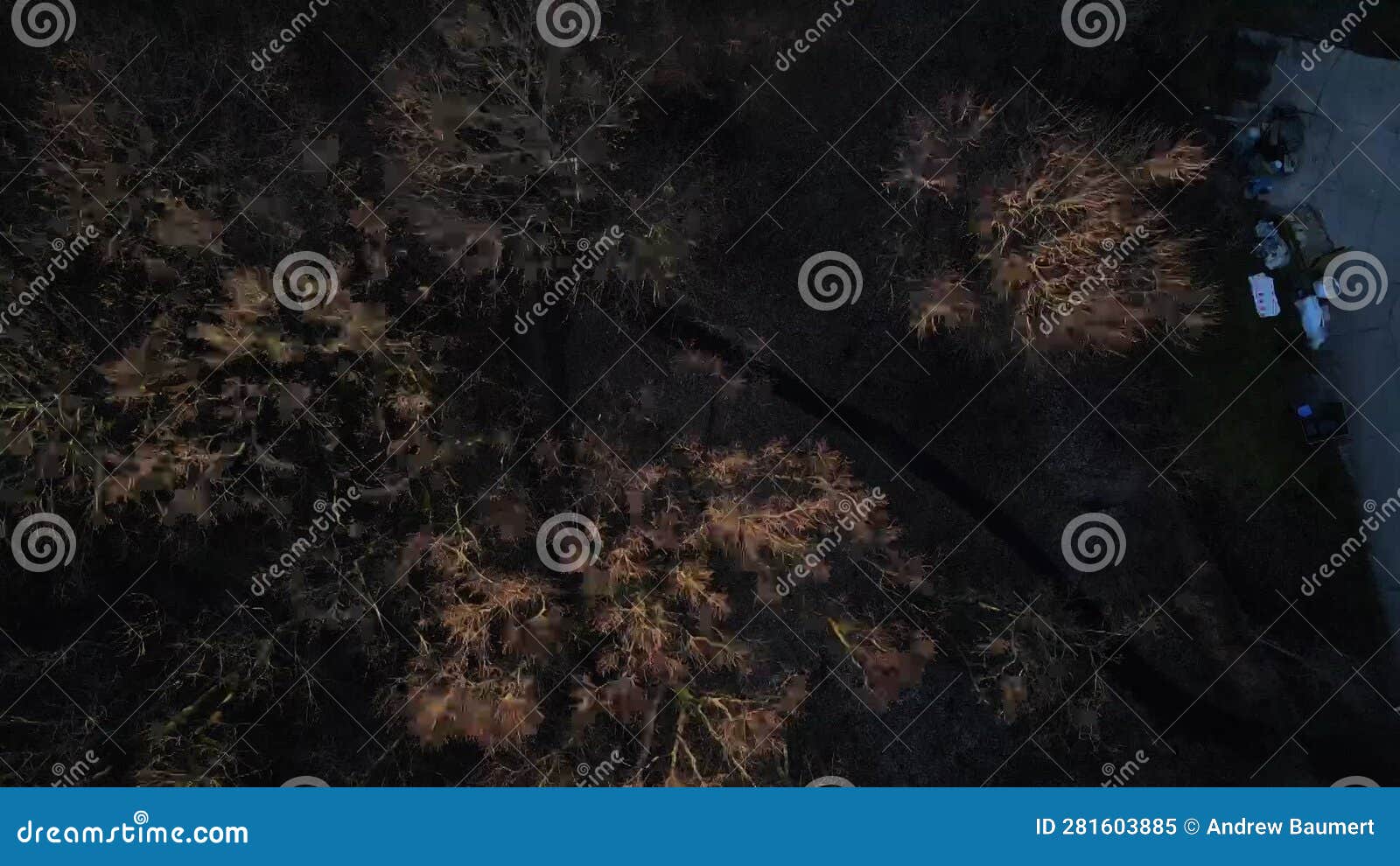 Top Down Nature Scene of Trees and Lake during Spring in Friedrichshain ...