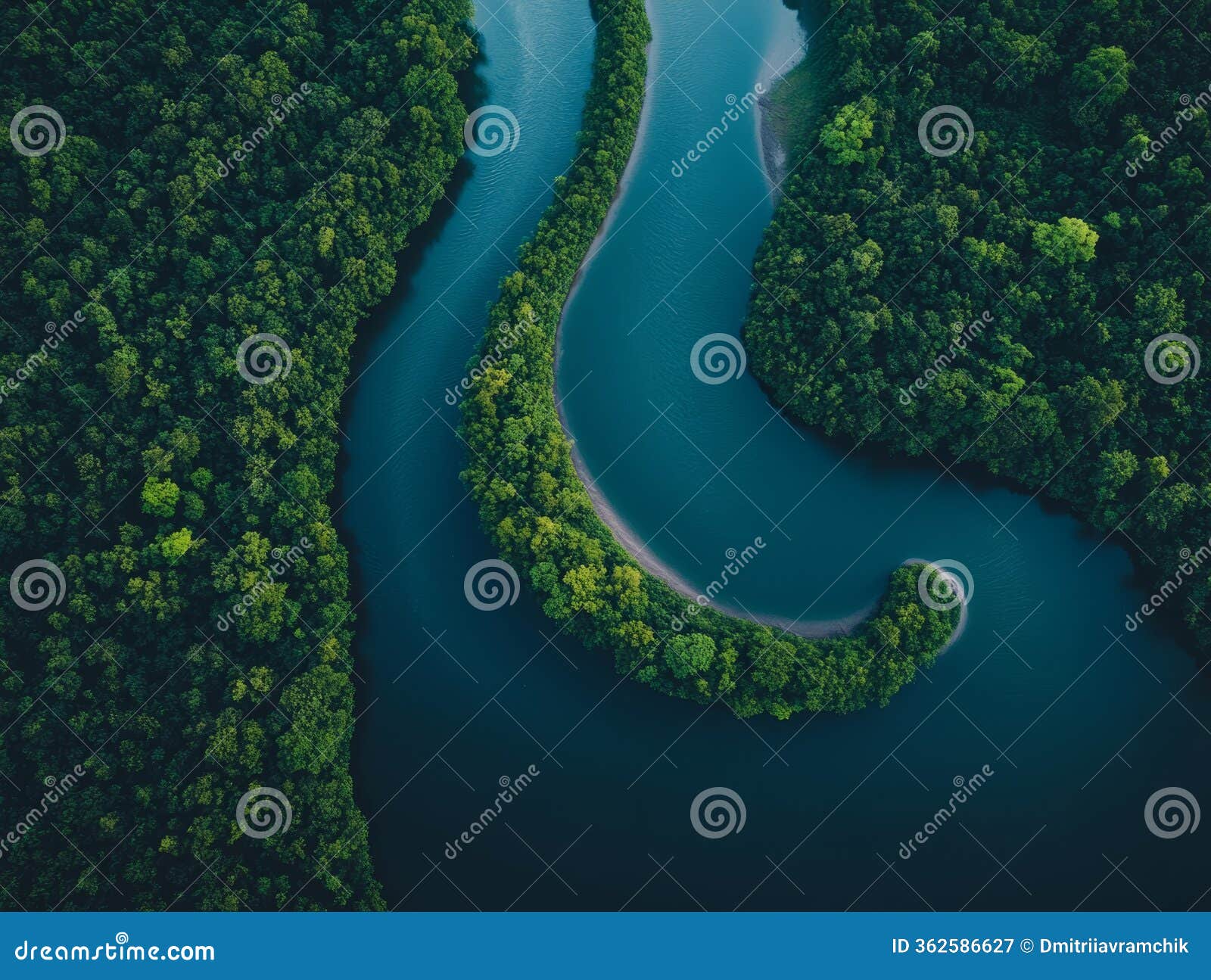 Top-Down Perspective of a River Curving through Thick Jungle. Stock ...