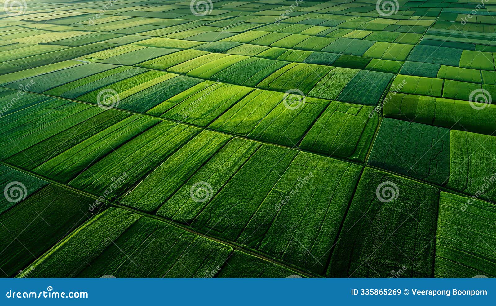 Top-down Shot of Geometric Patterns in Green Fields, Intersected by ...