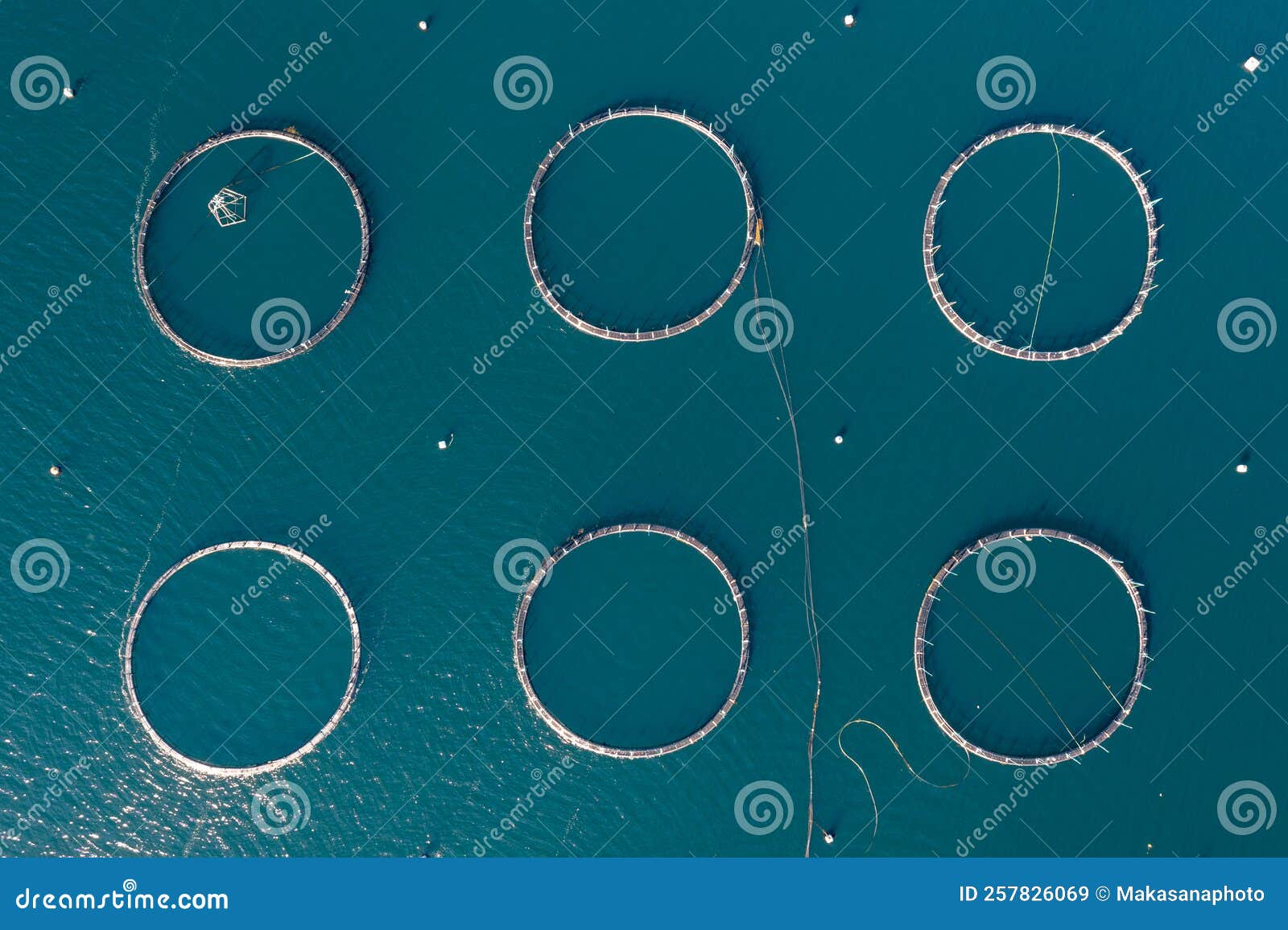 Top-down View of Aquaculture Fish Farm Cages and Nets in Deep Blue ...