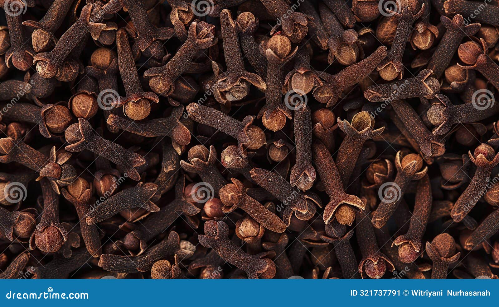 A Top Down View of Aromatic Cloves Arranged in a Grid Pattern ...