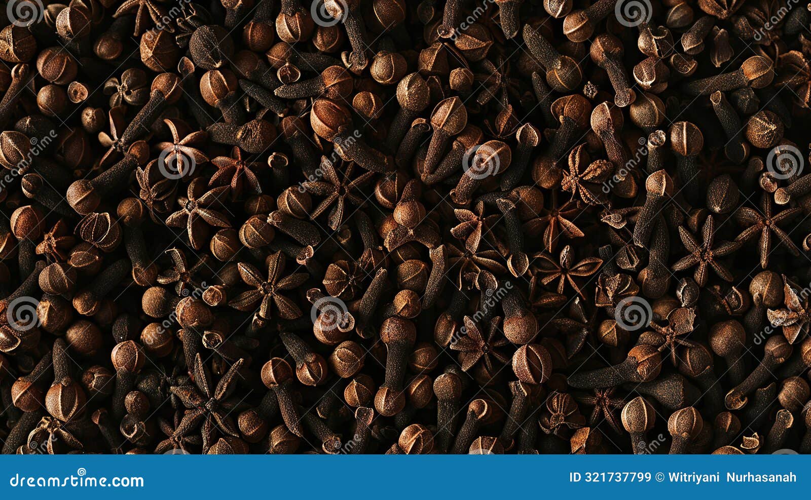 A Top Down View of Aromatic Cloves Arranged in a Grid Pattern ...