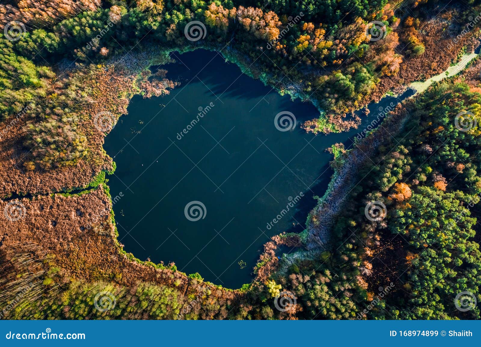Top Down View of Autumn Lake and Forest Stock Image - Image of green ...