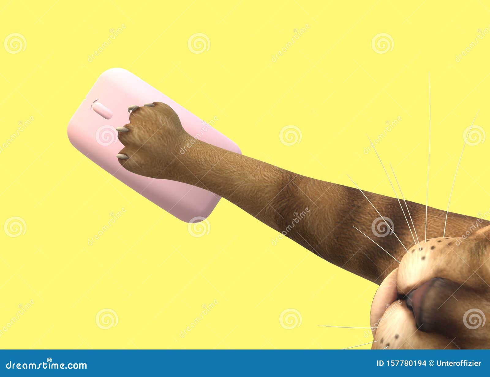 Top Down View of a Cat Using Its Paws To Manipulate a Wireless Computer ...