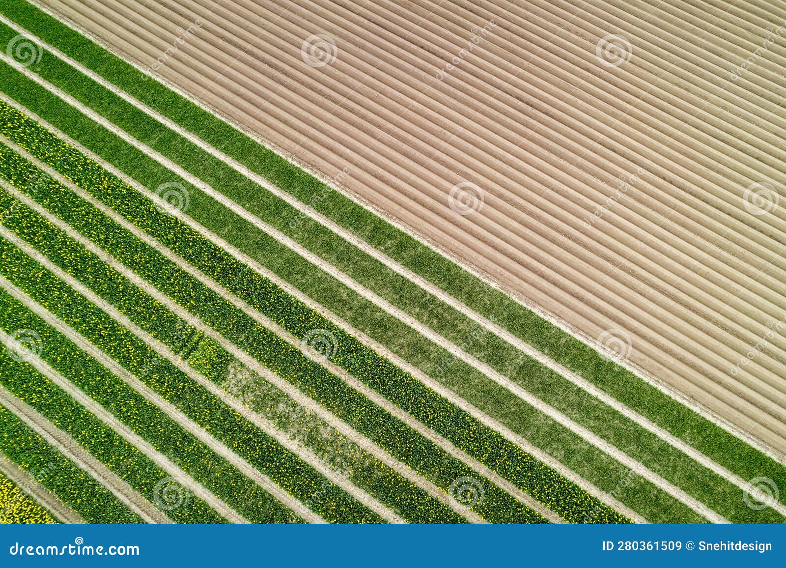 Top Down View of Diagonal Pattern of Fields in Netherlands Stock Image ...