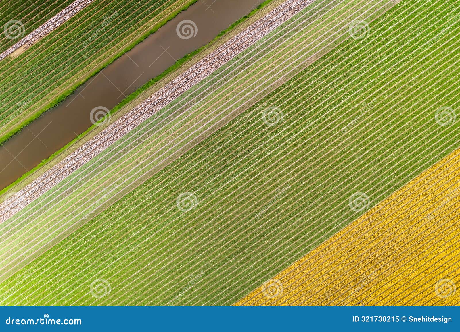 Top Down View of Diagonal Pattern of Fields in Netherlands Countryside ...