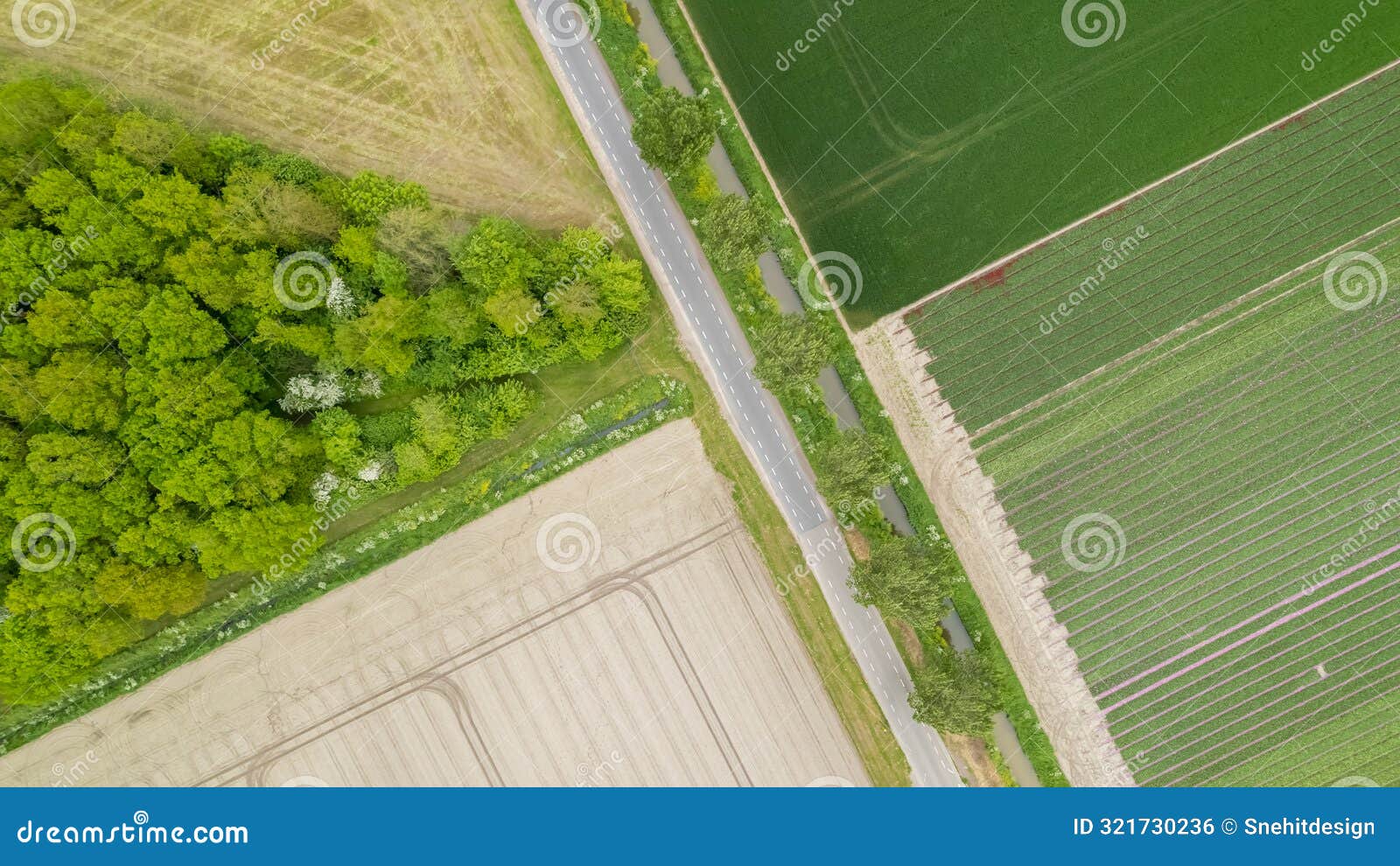 Top Down View of Diagonal Pattern of Fields in Netherlands Countryside ...