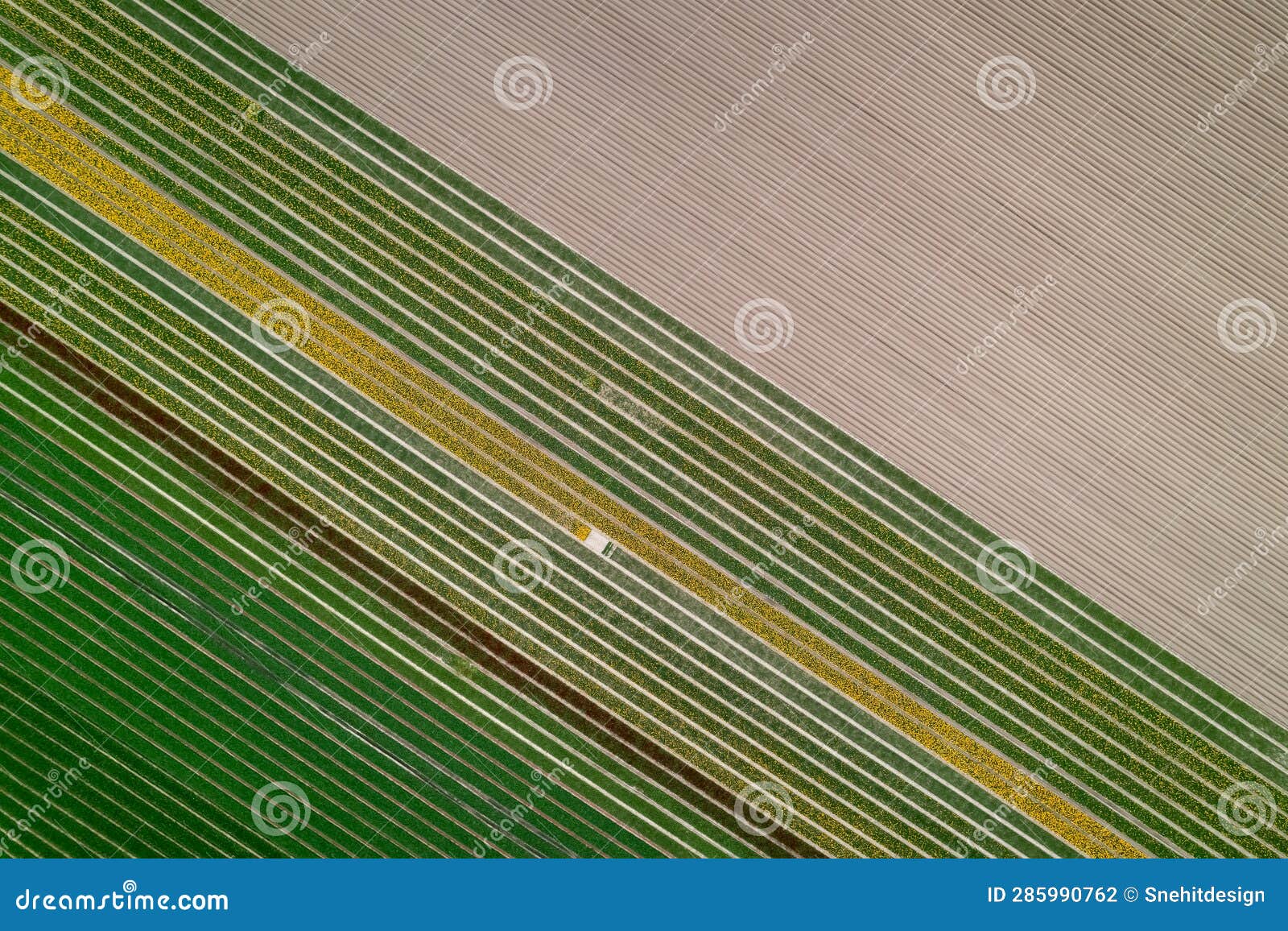 Top Down View of Diagonal Pattern of Fields in Netherlands Countryside ...