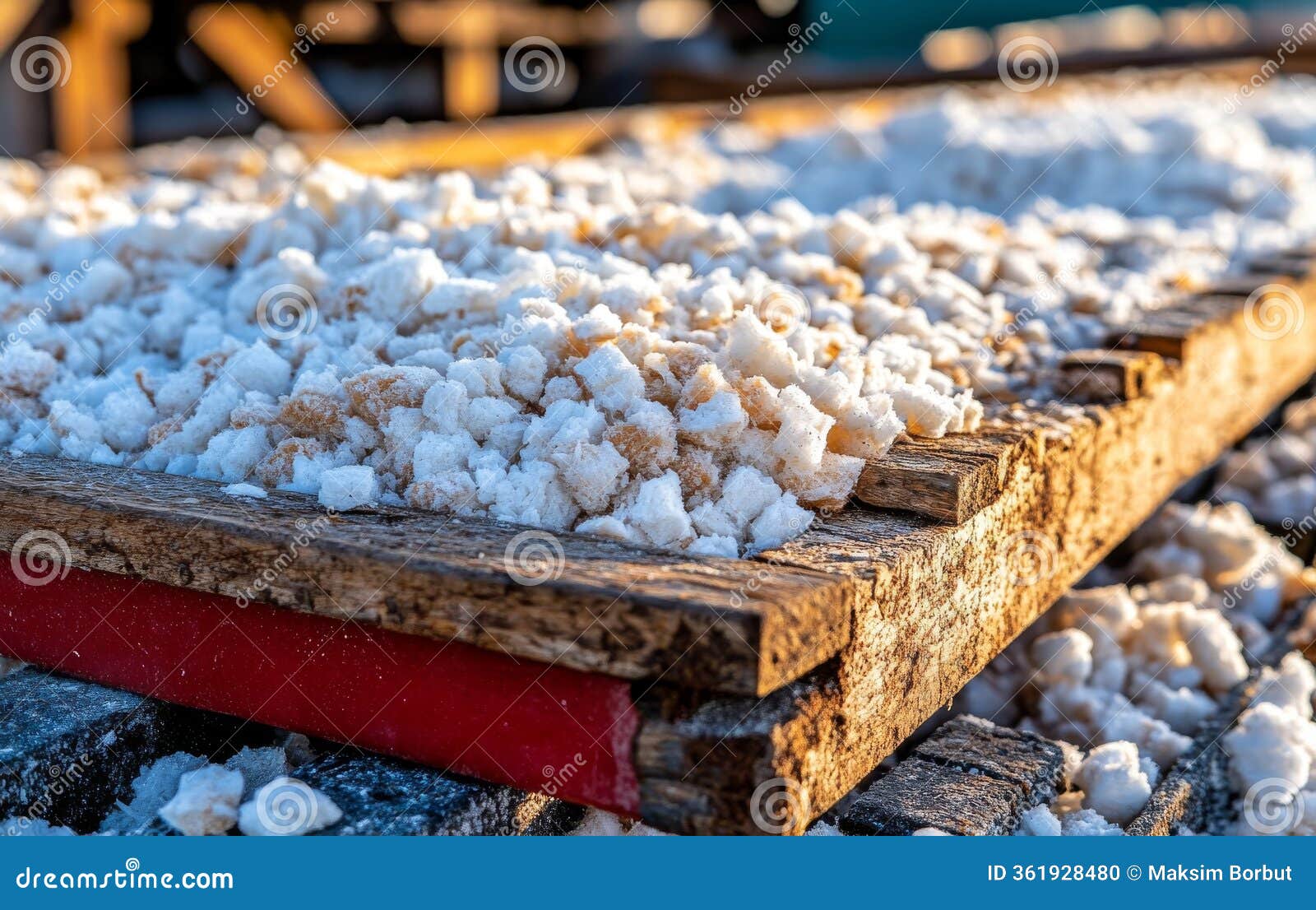 Top-down View of a Document Shredder. Ensuring Security by Shredding ...