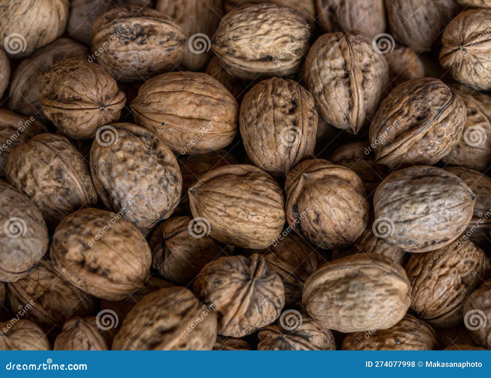 Top-down View of Many Organic Walnuts Just after Harvesting Stock Photo ...