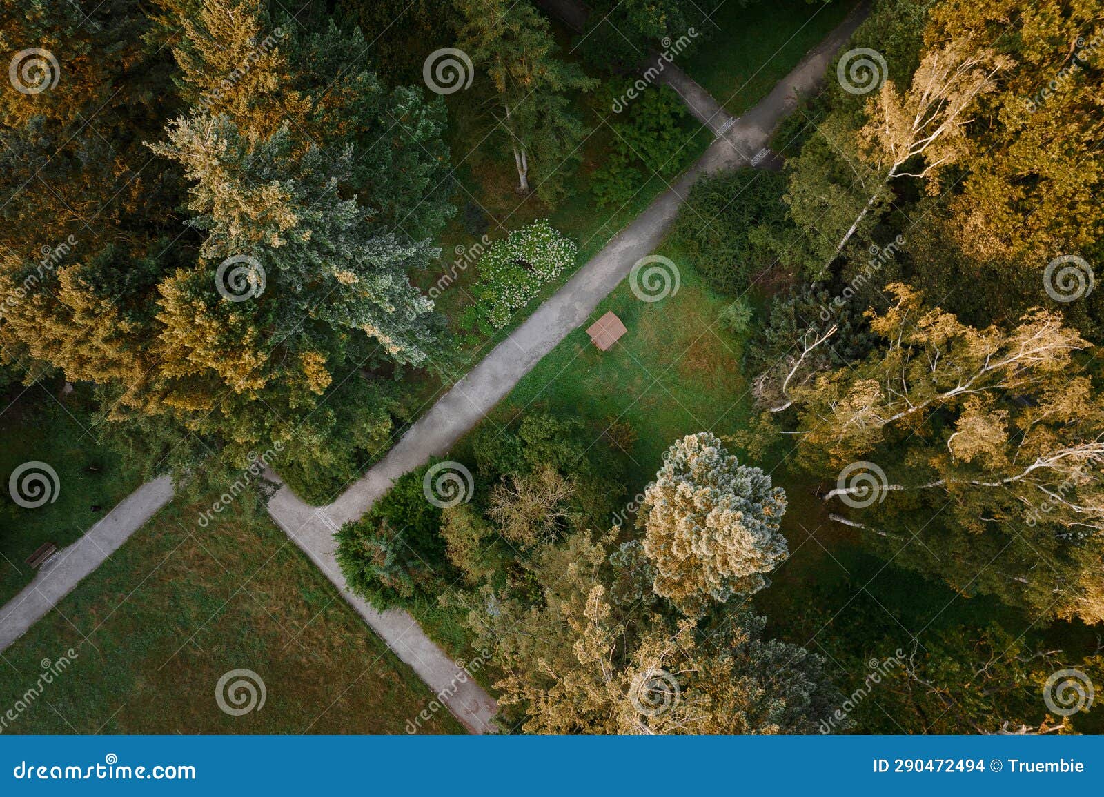 Top-down View of Park Paths Stock Photo - Image of dawn, tree: 290472494