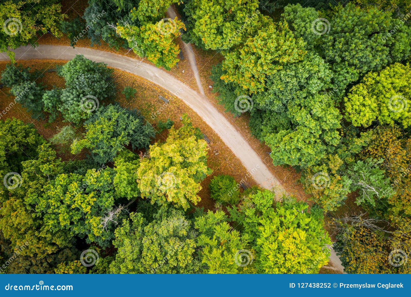 Top Down View on Path and Autumn Trees on Park Stock Photo - Image of ...