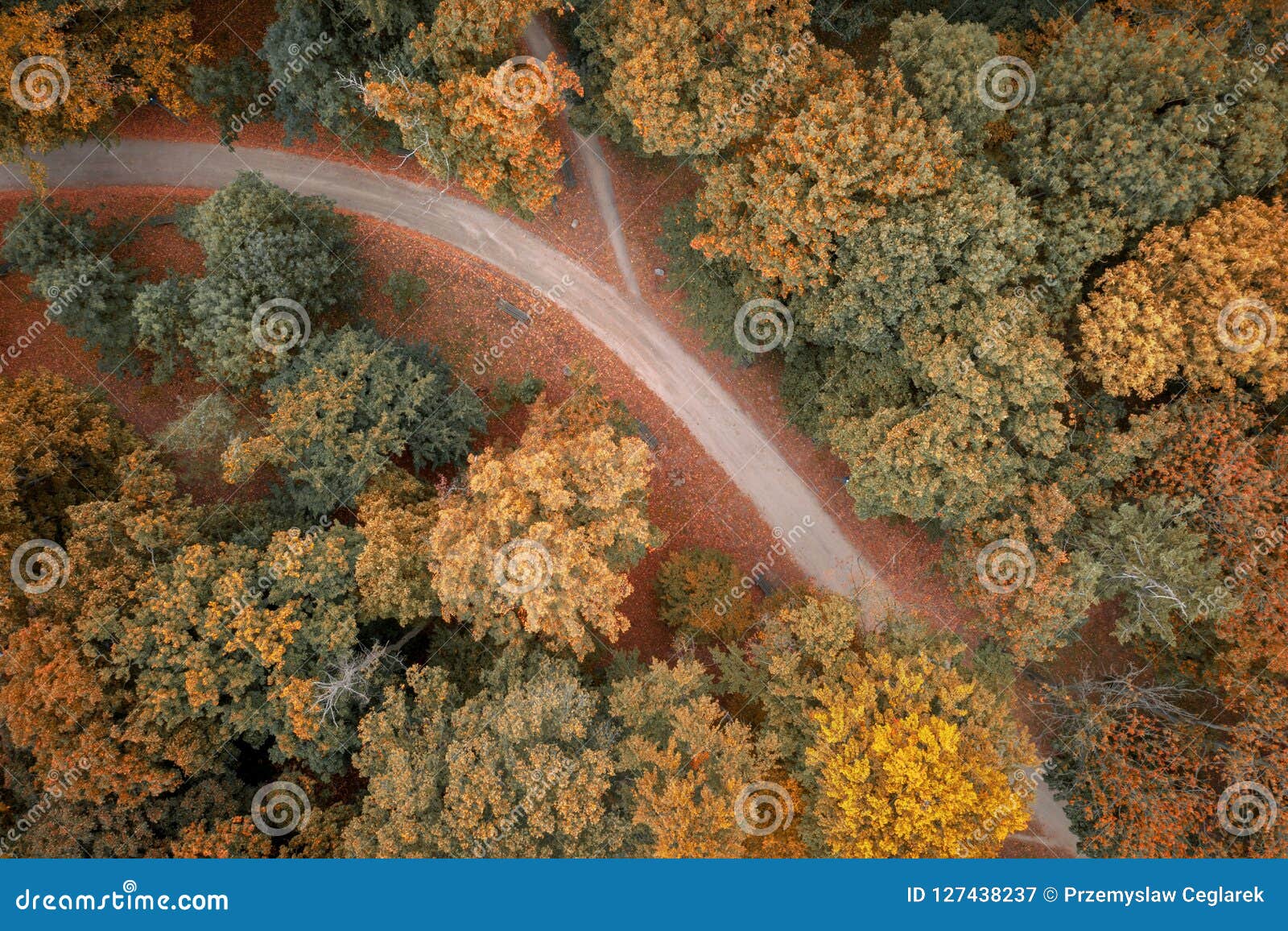 Top Down View on Path and Autumn Trees on Park Stock Image - Image of ...