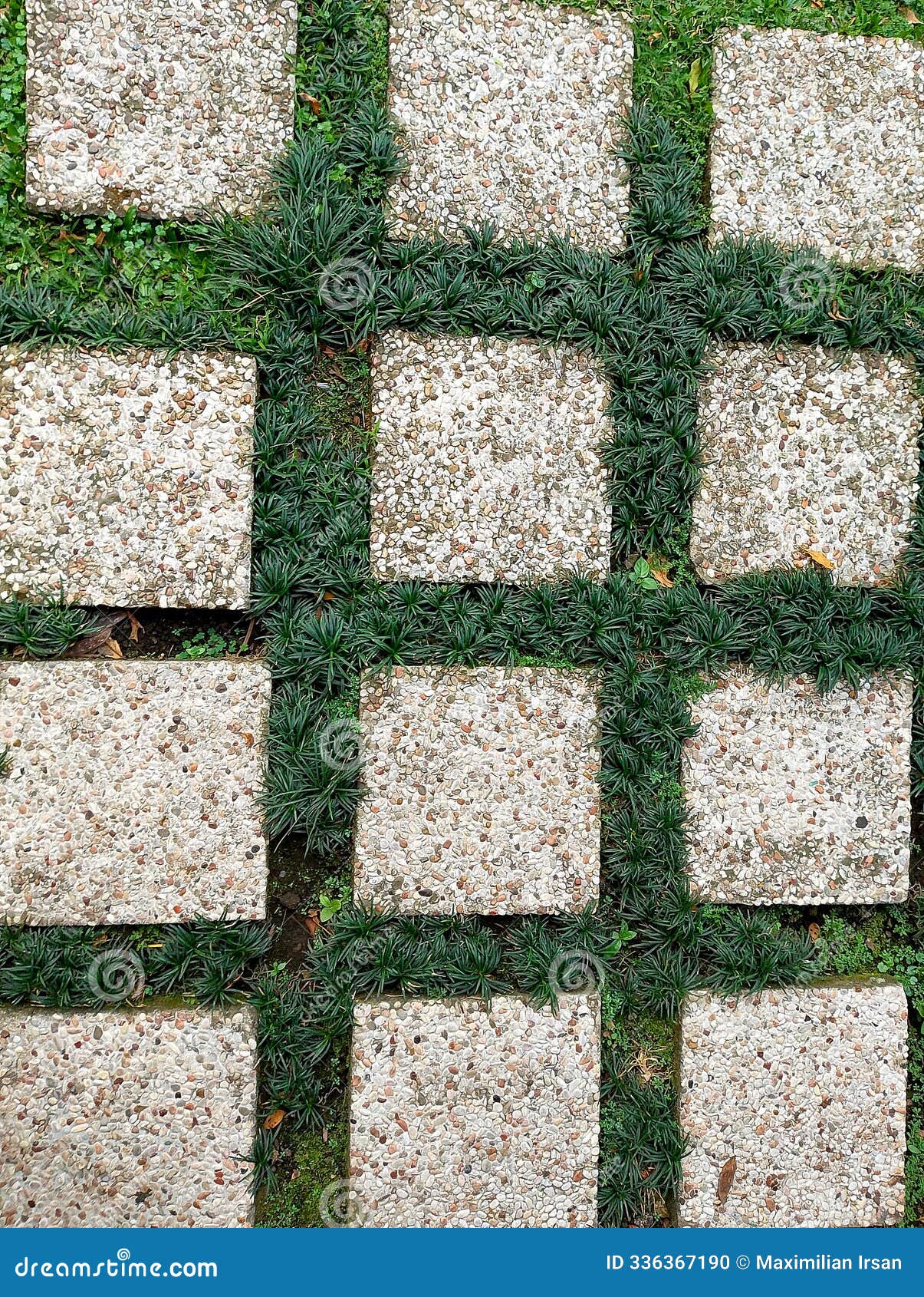 Nature S Mosaic Stone and Turf Stock Photo - Image of mondo, grid ...