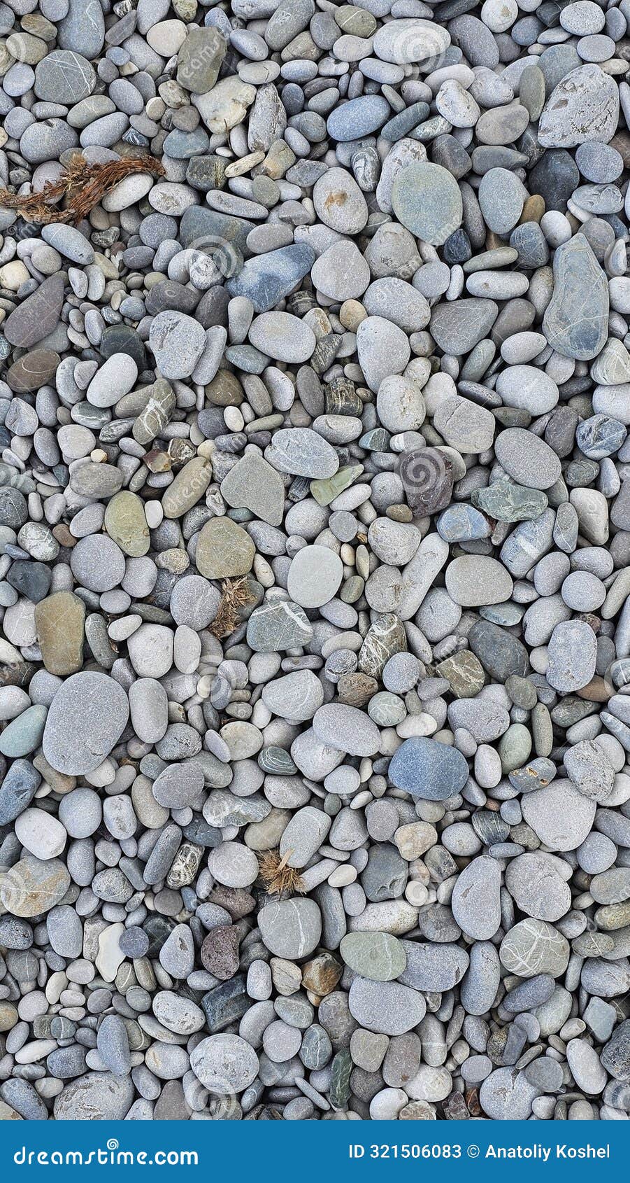 Top Down View of Pebbles on the Beach. Surf Stock Image - Image of ...