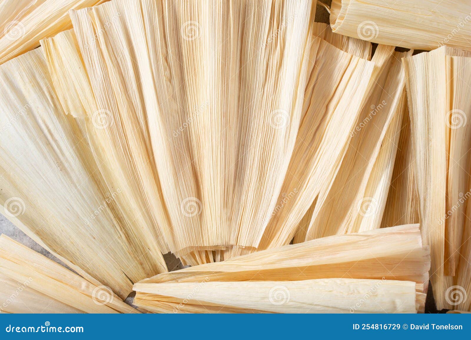 Corn husk background stock image. Image of garden, ingredient - 254816729