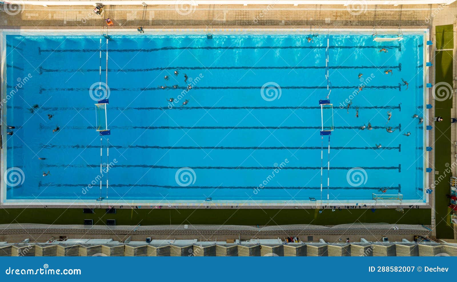 Top Down View of Public Swimming Pool. Water Polo Team Practicing ...